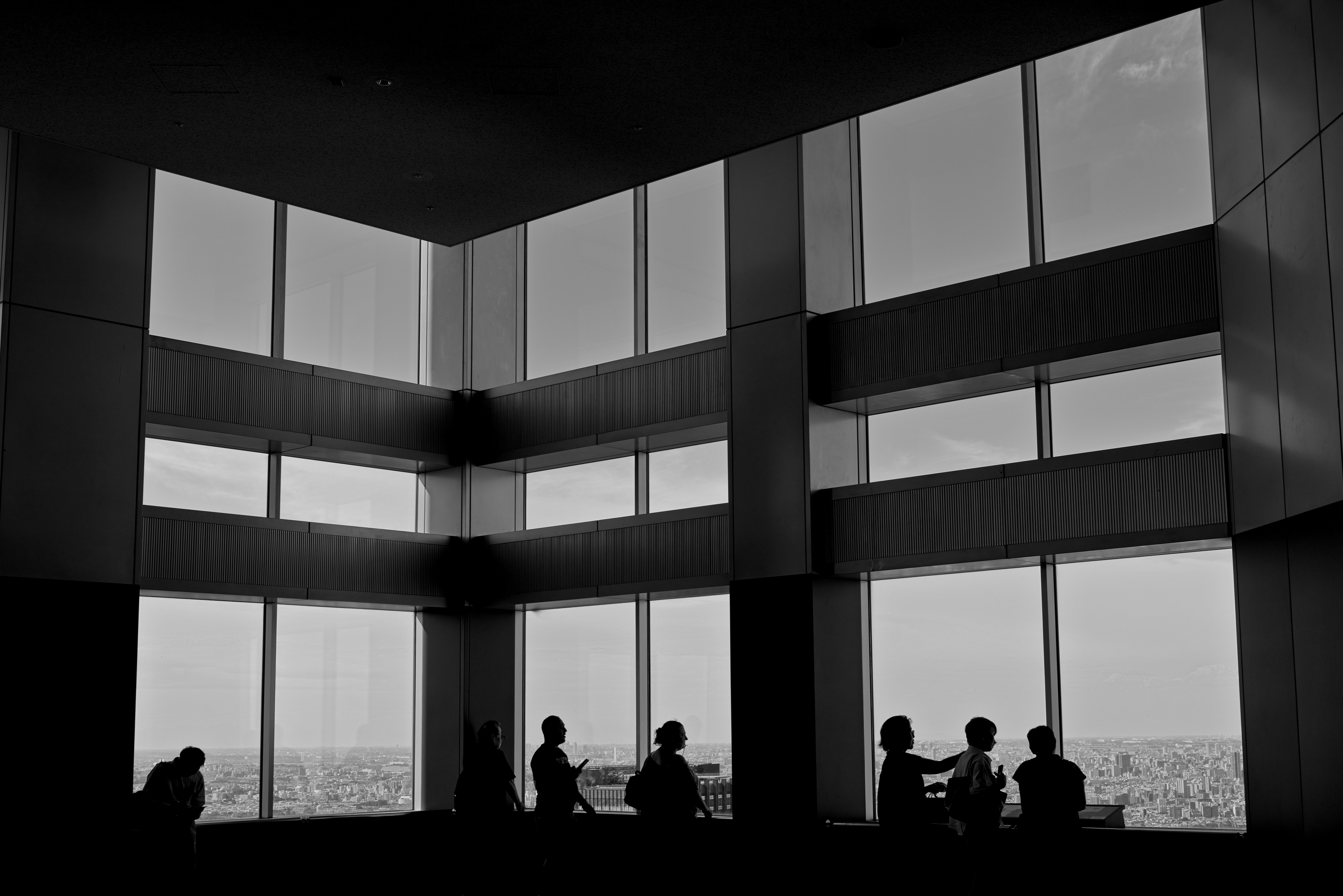 Shadowed Silhouettes in a Glass Cathedral