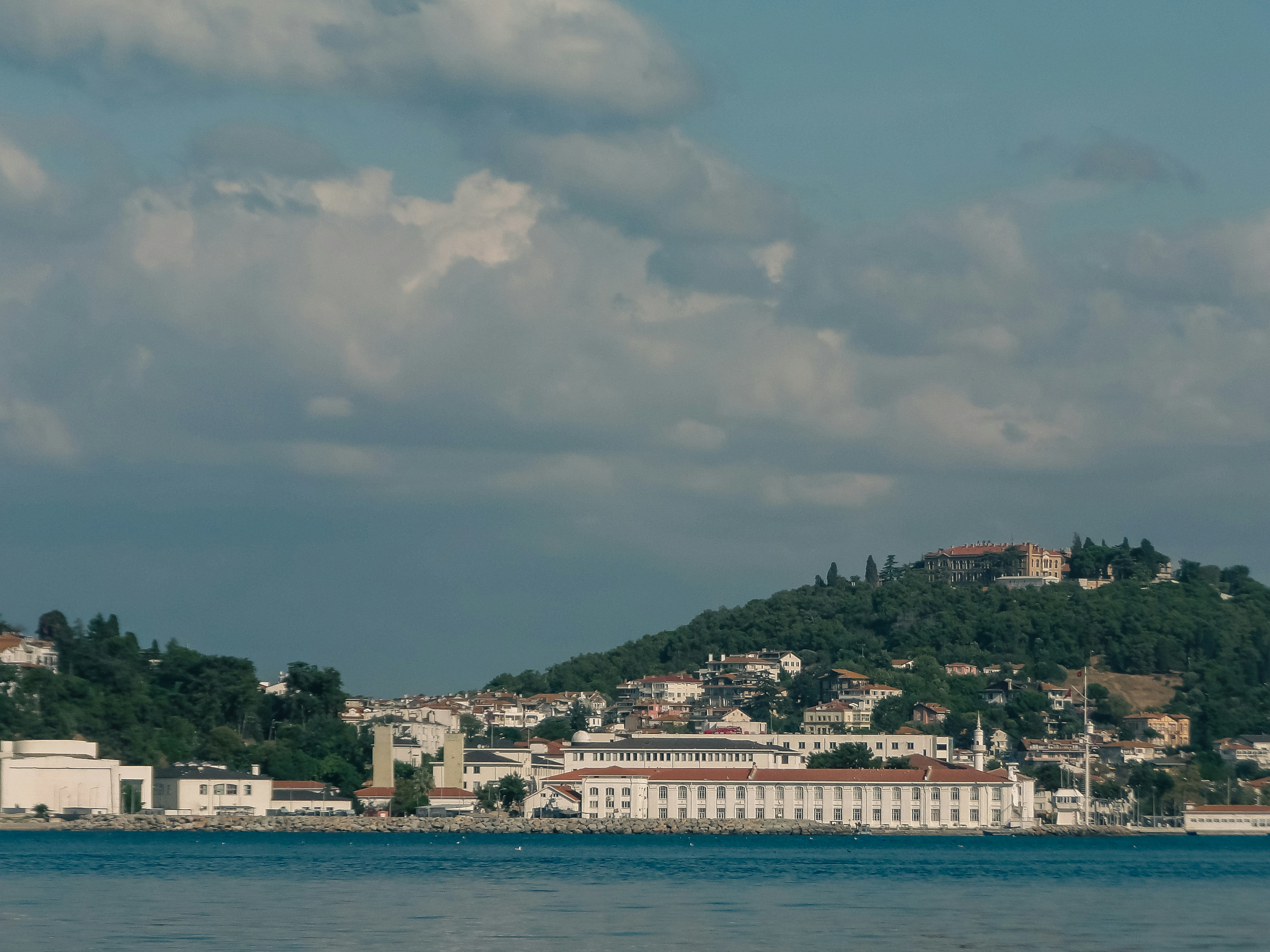 Coastal Townscape with Hillside Buildings