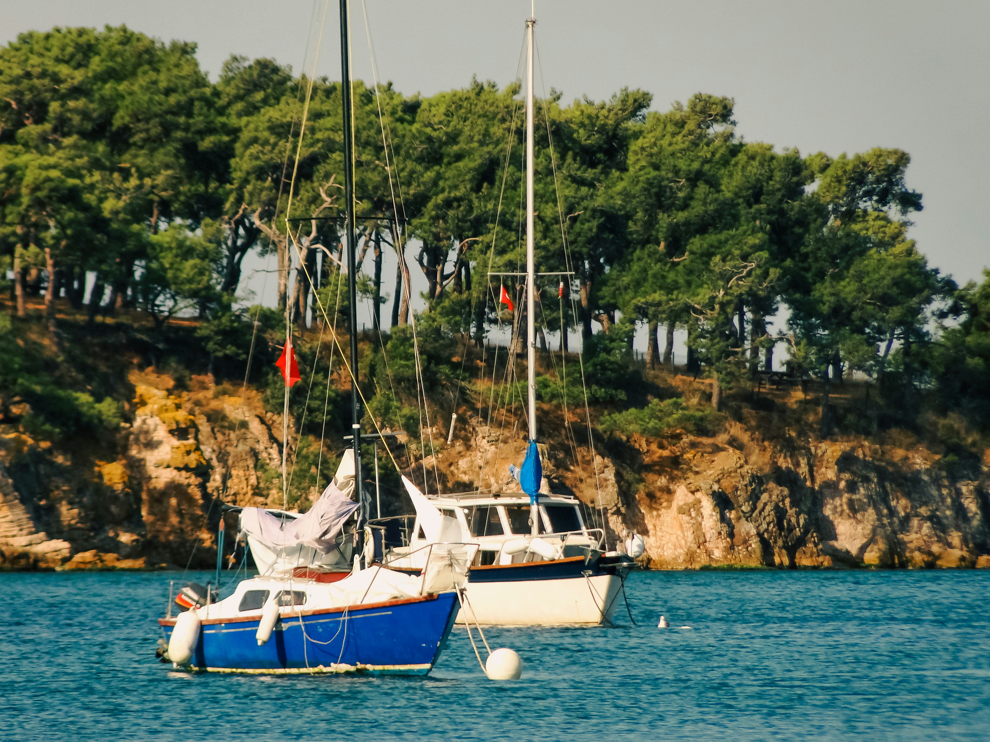 Two sailboats rest near a rocky shoreline under a tree-lined cliff; the scene emphasizes calm water and mooring buoys.