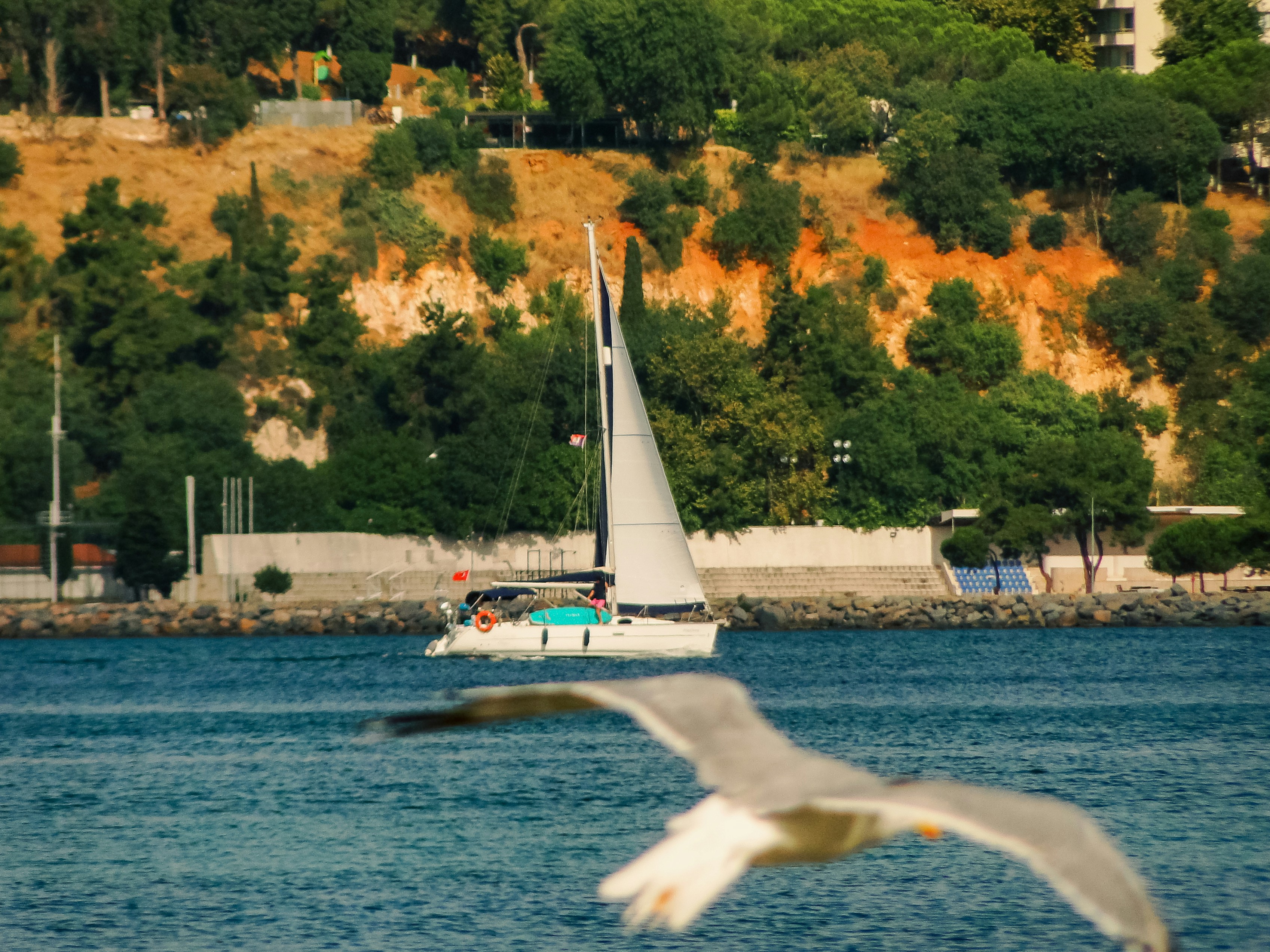 Sailing Focus: Boat Cutting Through Calm Blue Waters