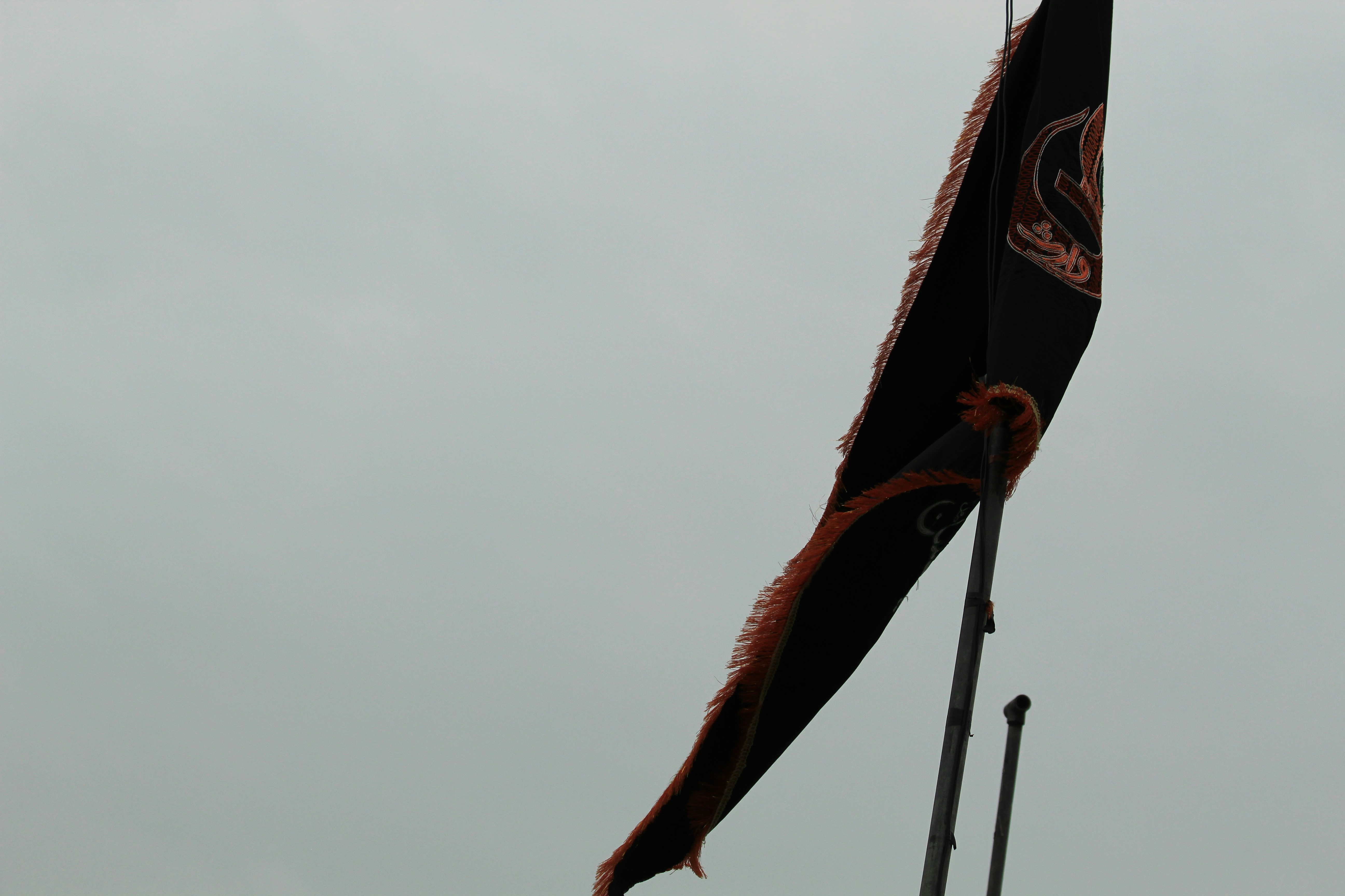 Tattered Flag against a Pale Sky
