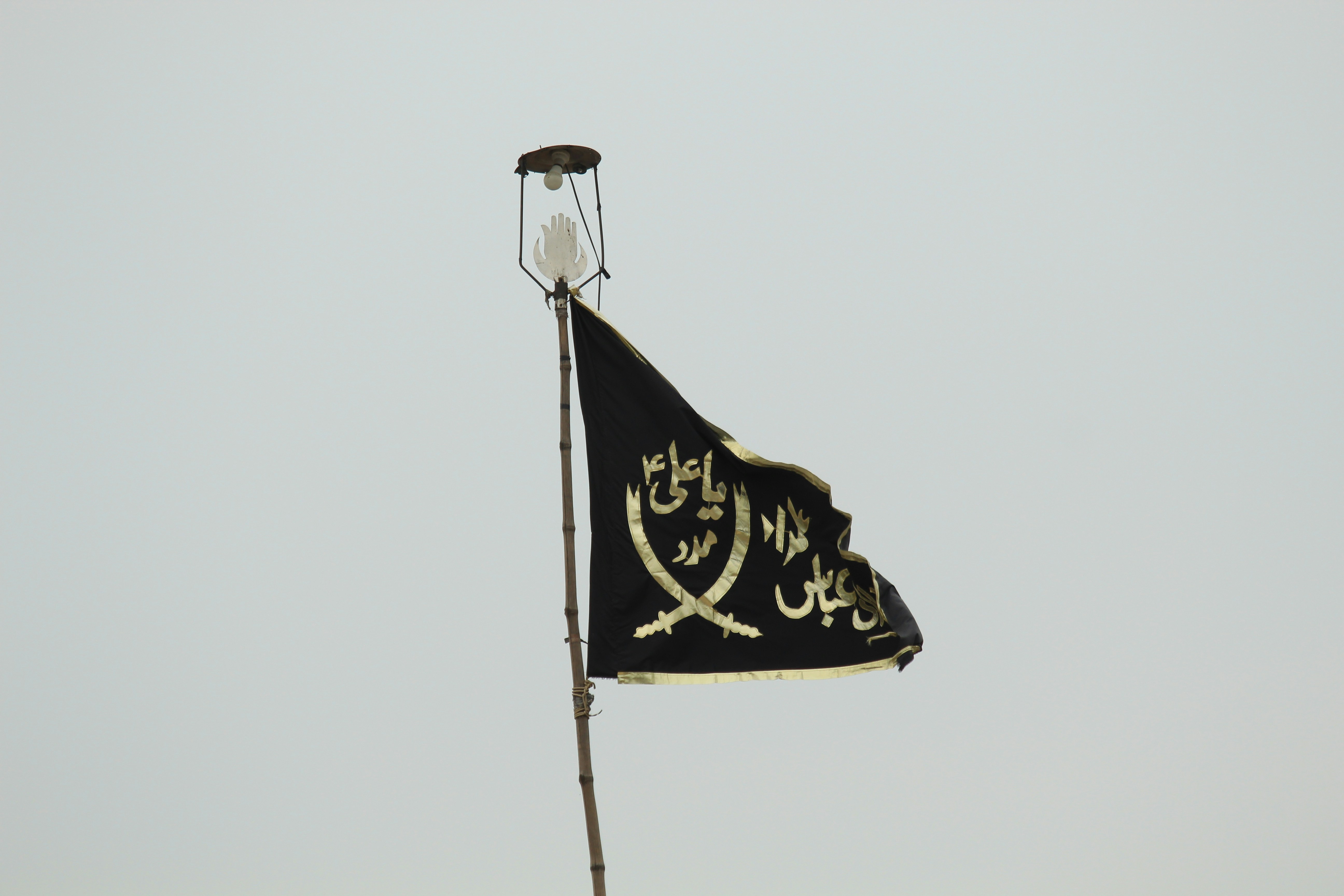 Tattered Black Flag Against a Pale Sky