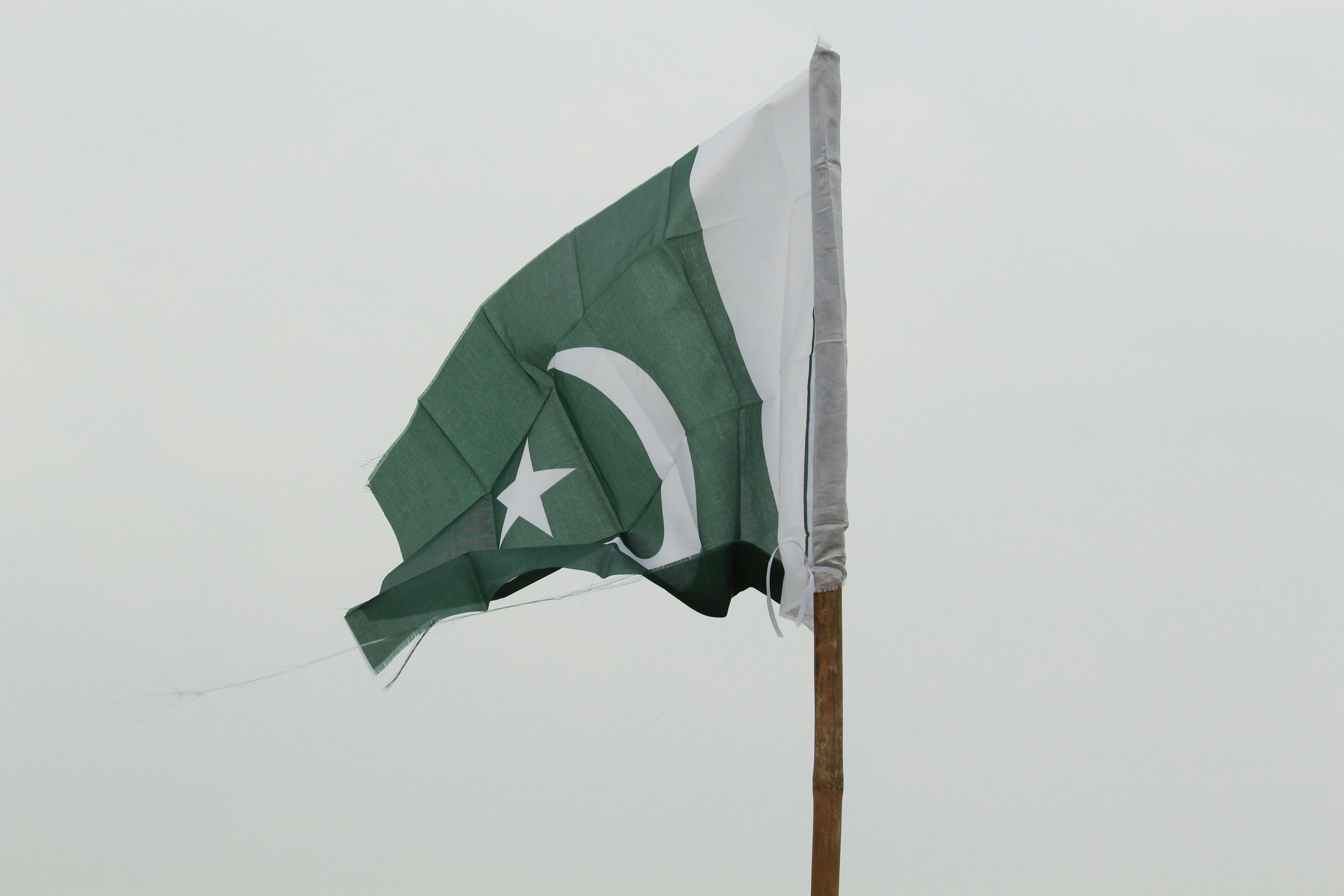 Flag on a Wind-Swept Pole