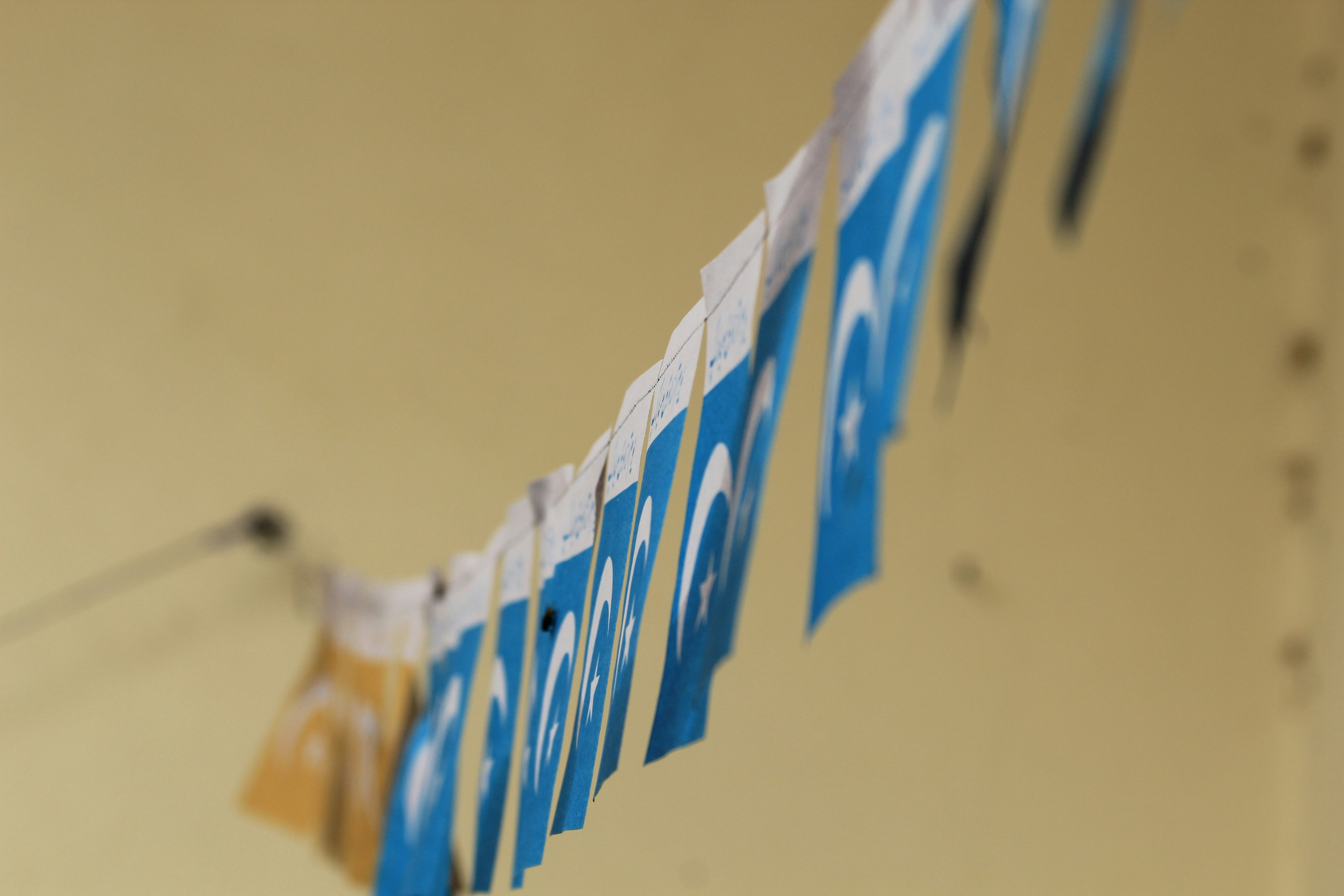 Bunting in soft focus: candy-colored flags drifting through a sunlit space