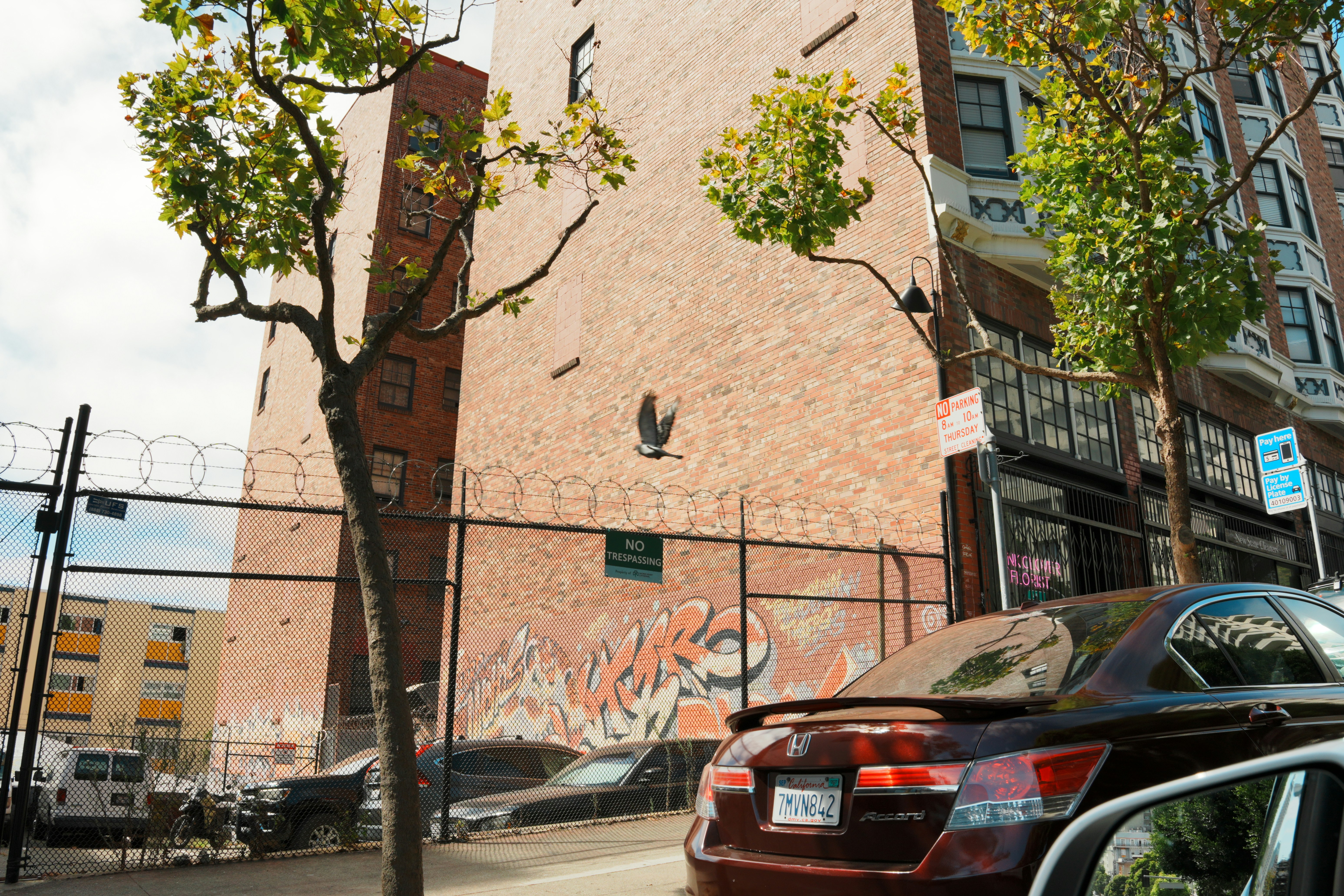 Sunlit Street Portrait: Car, Graffiti Wall, and Trees in Urban Light
