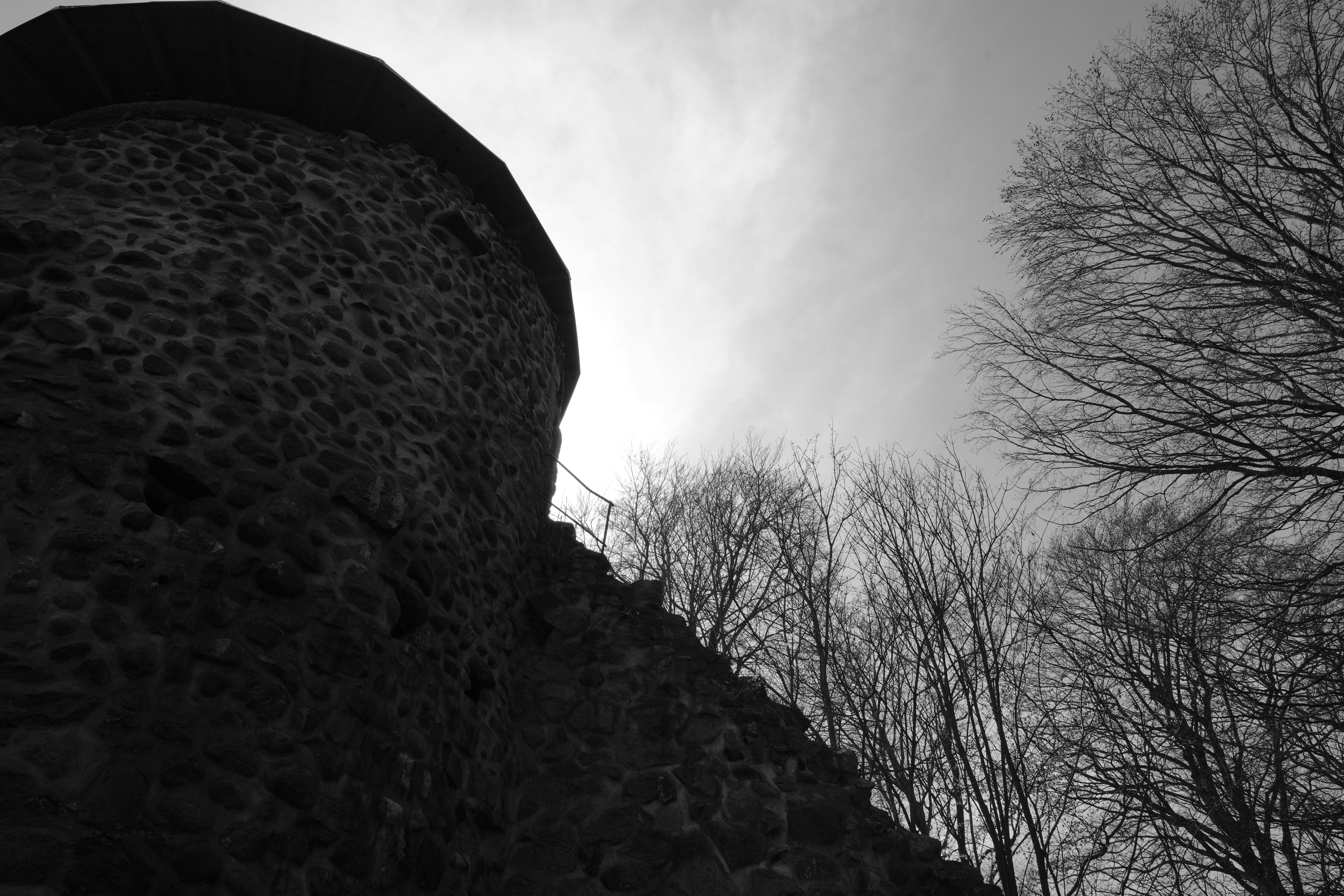 Stone Turret and Leafless Trees Under a Quiet Sky