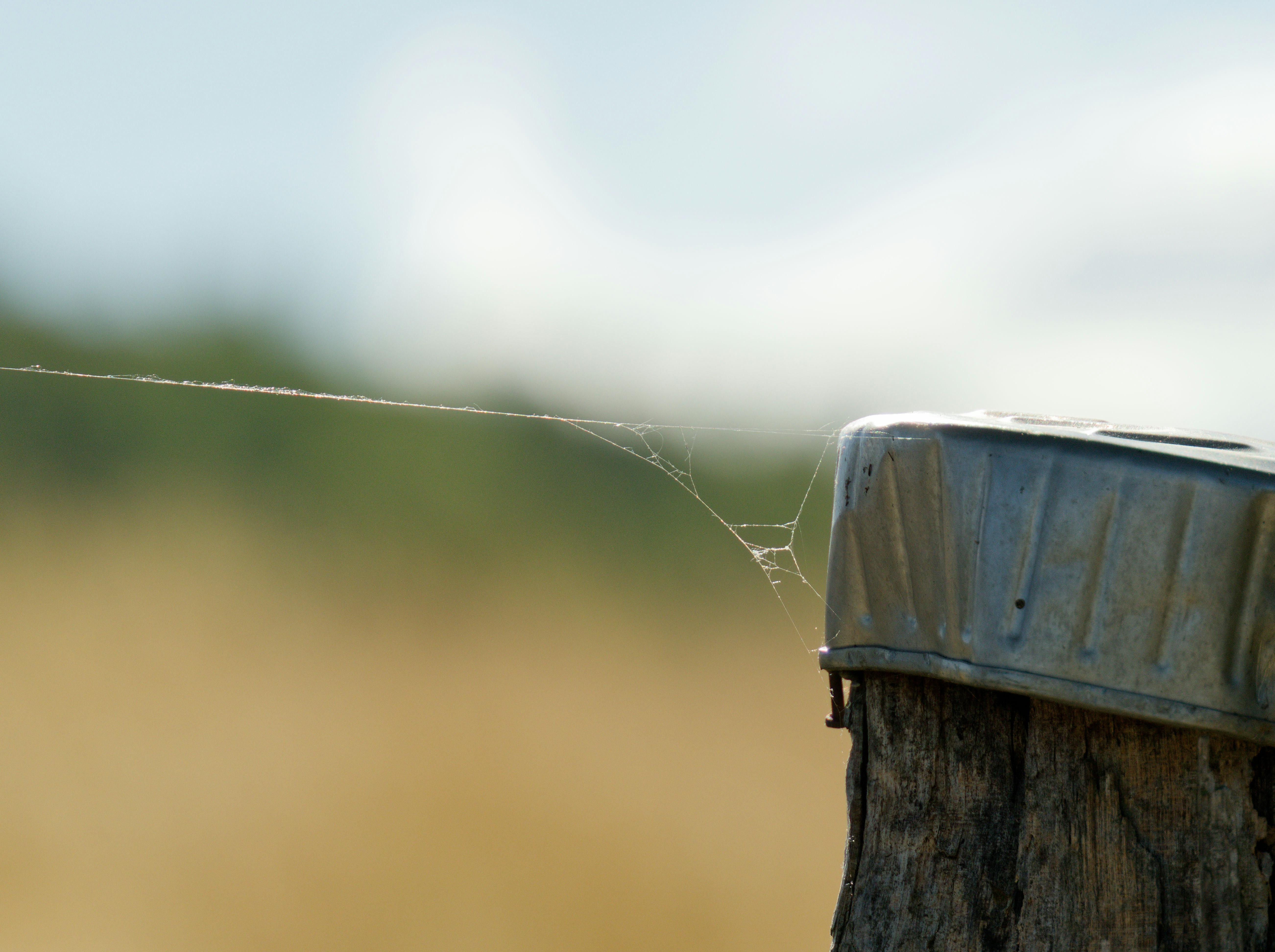 Spider Silk on a Weathered Barrier