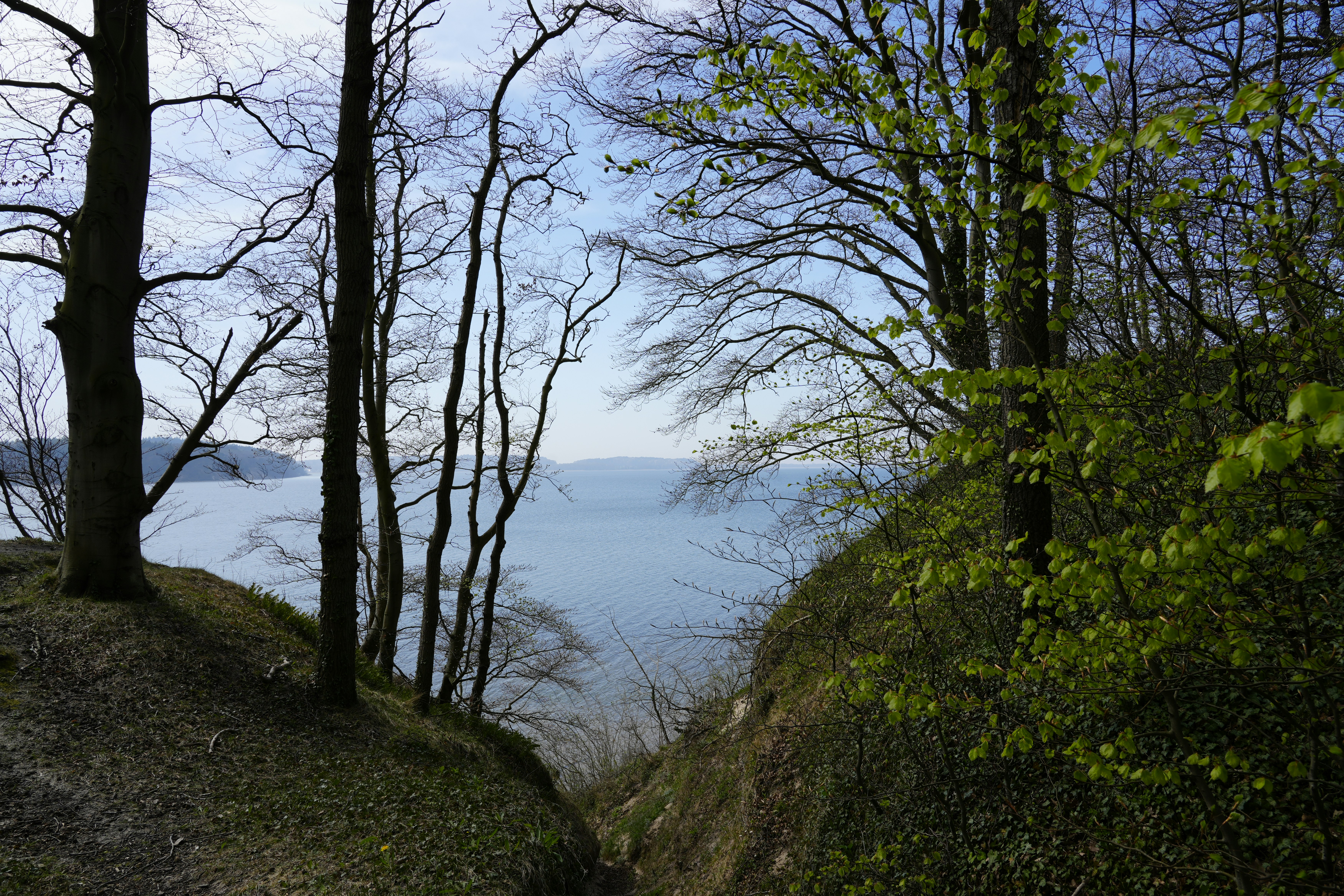 Cliff Path Framing the Distant Sea
