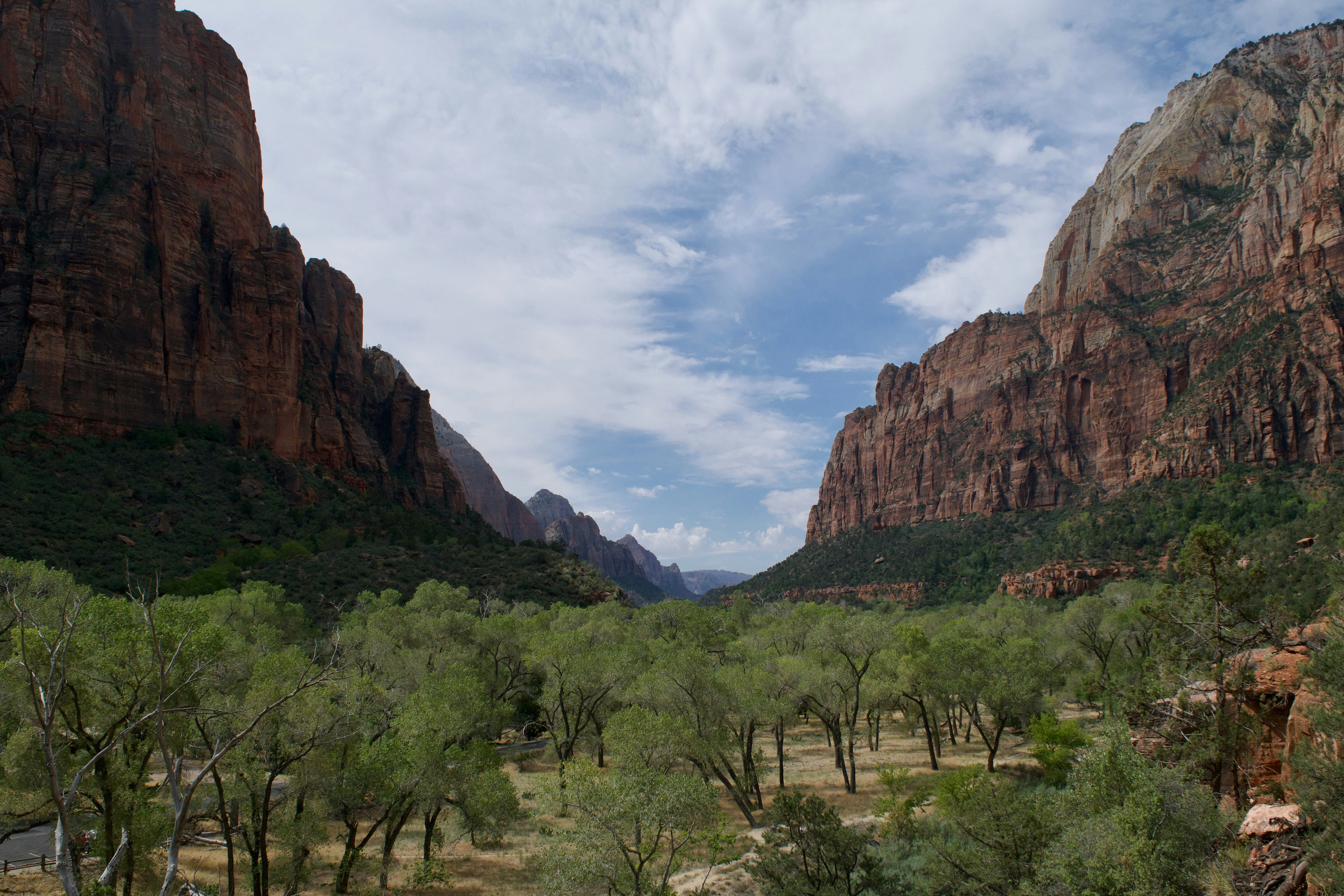 Canyon Embrace: Oasis of Trees Between Crimson Cliffs