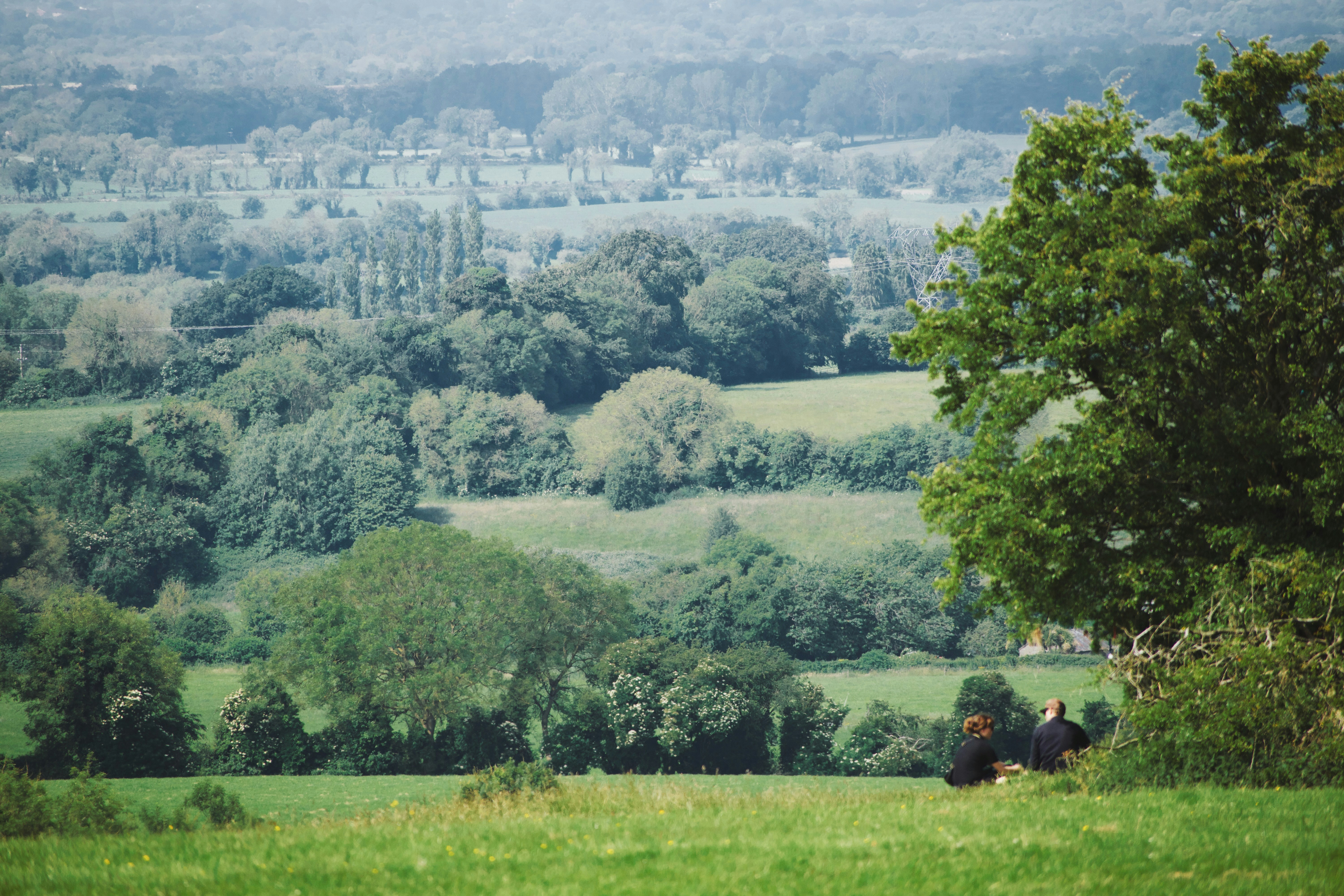 Couple on a gentle hillside overlooking sunlit valley