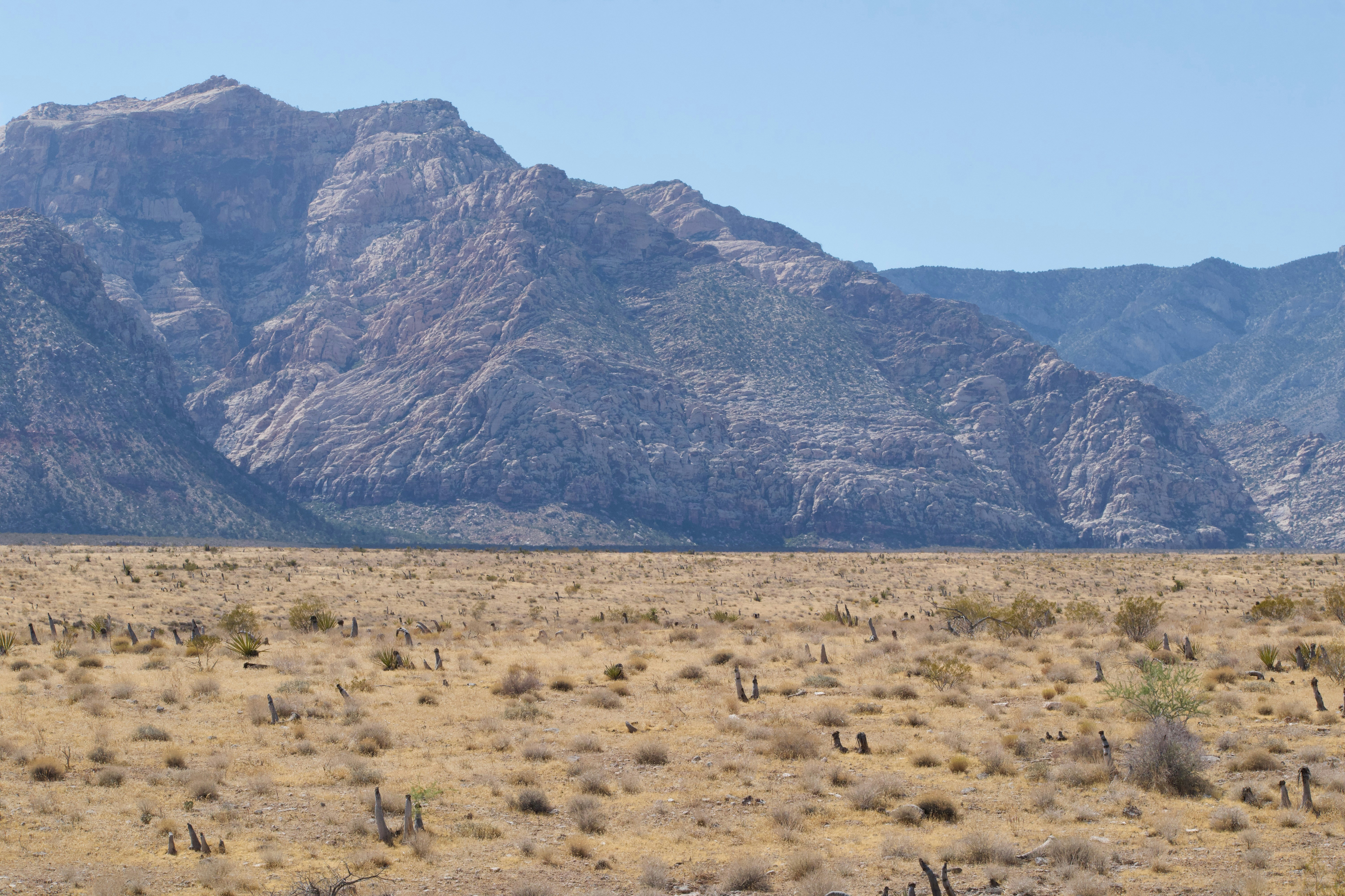Desert Expanse Beneath a Rugged Ridge