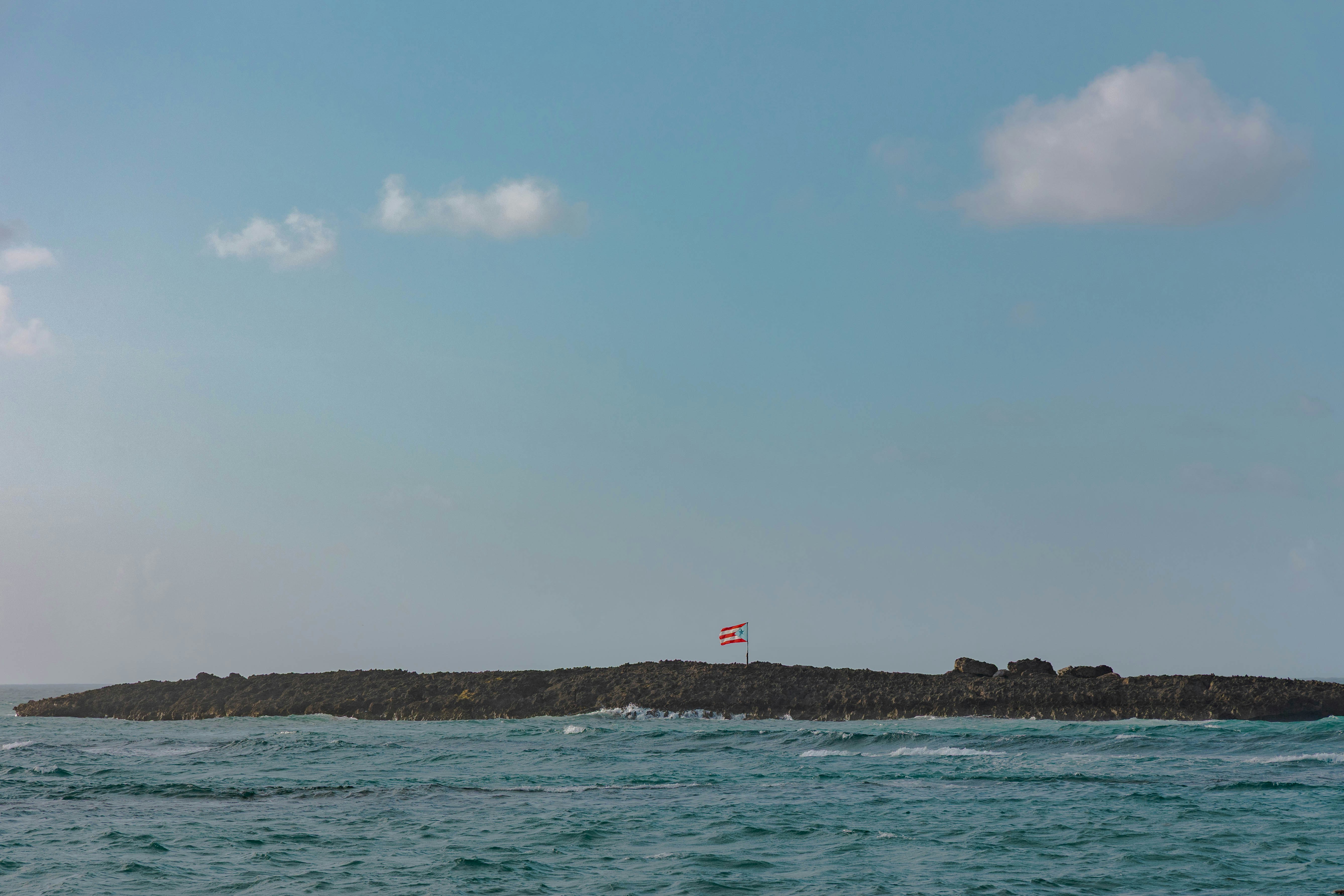 Lone Red-Flag on a Sequestered Breakwater