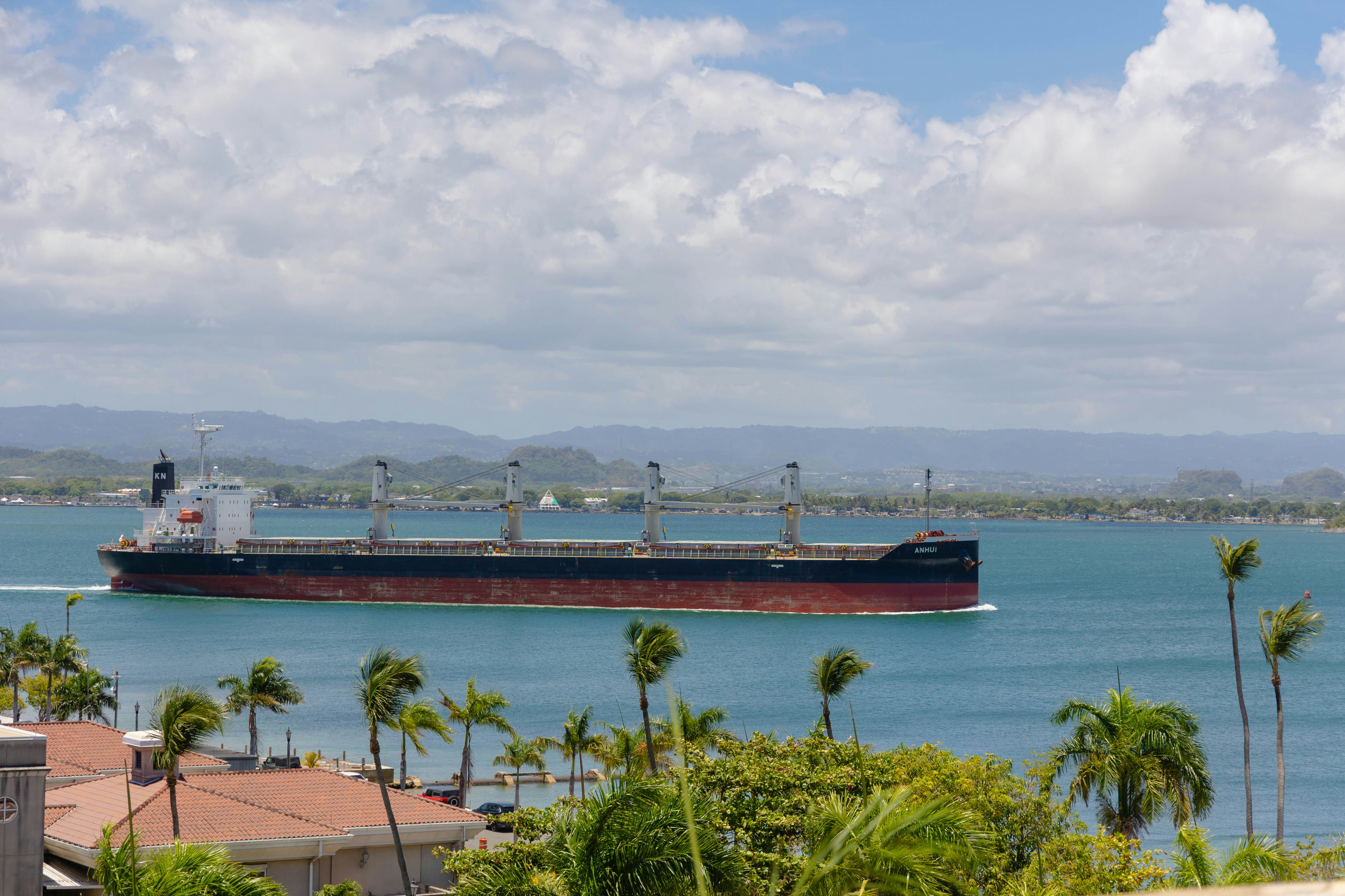 Translucent Horizon: A Container Ship Glide Past Palm-Fringed Shore