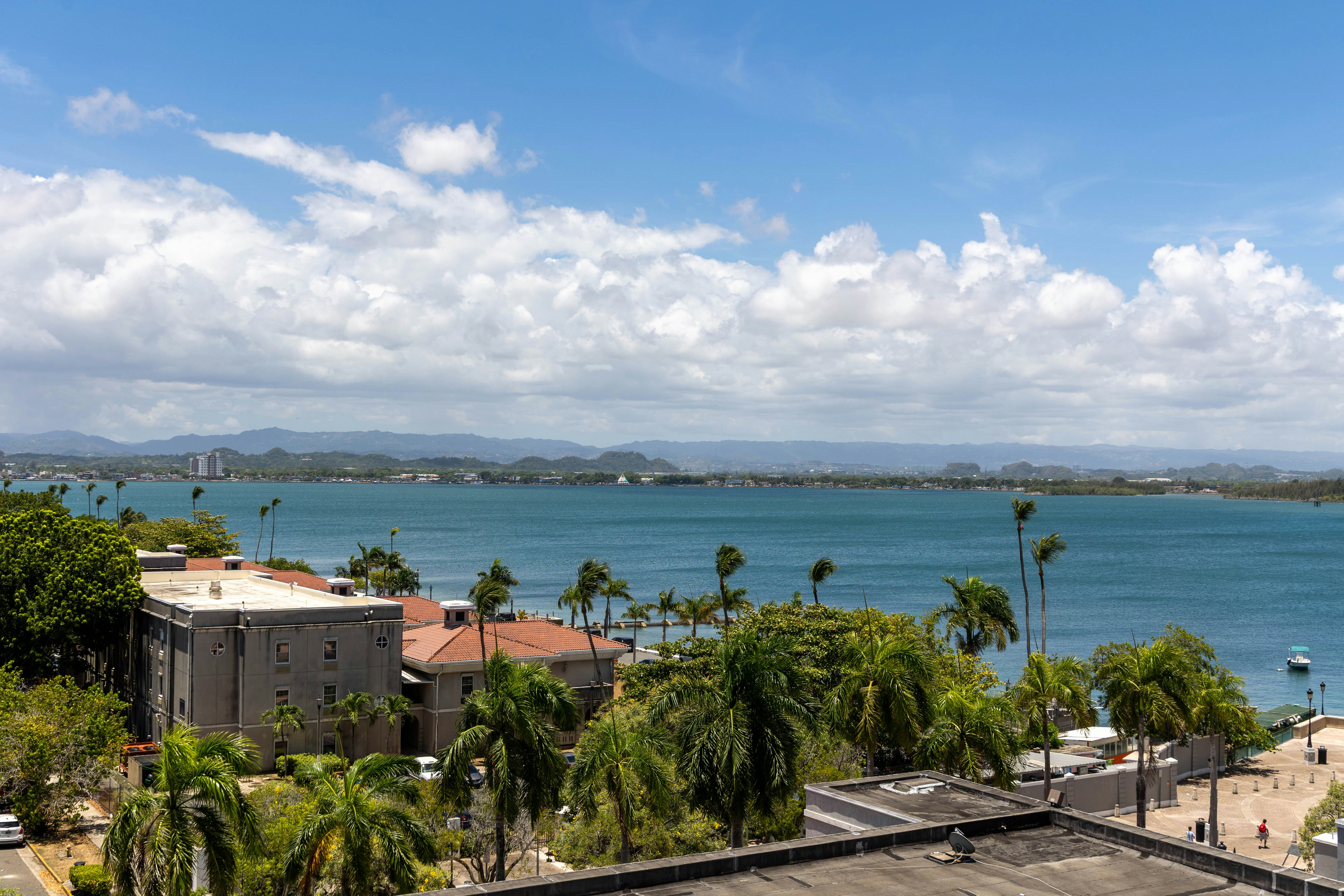 Palm-lined beachfront panorama with urban harbor