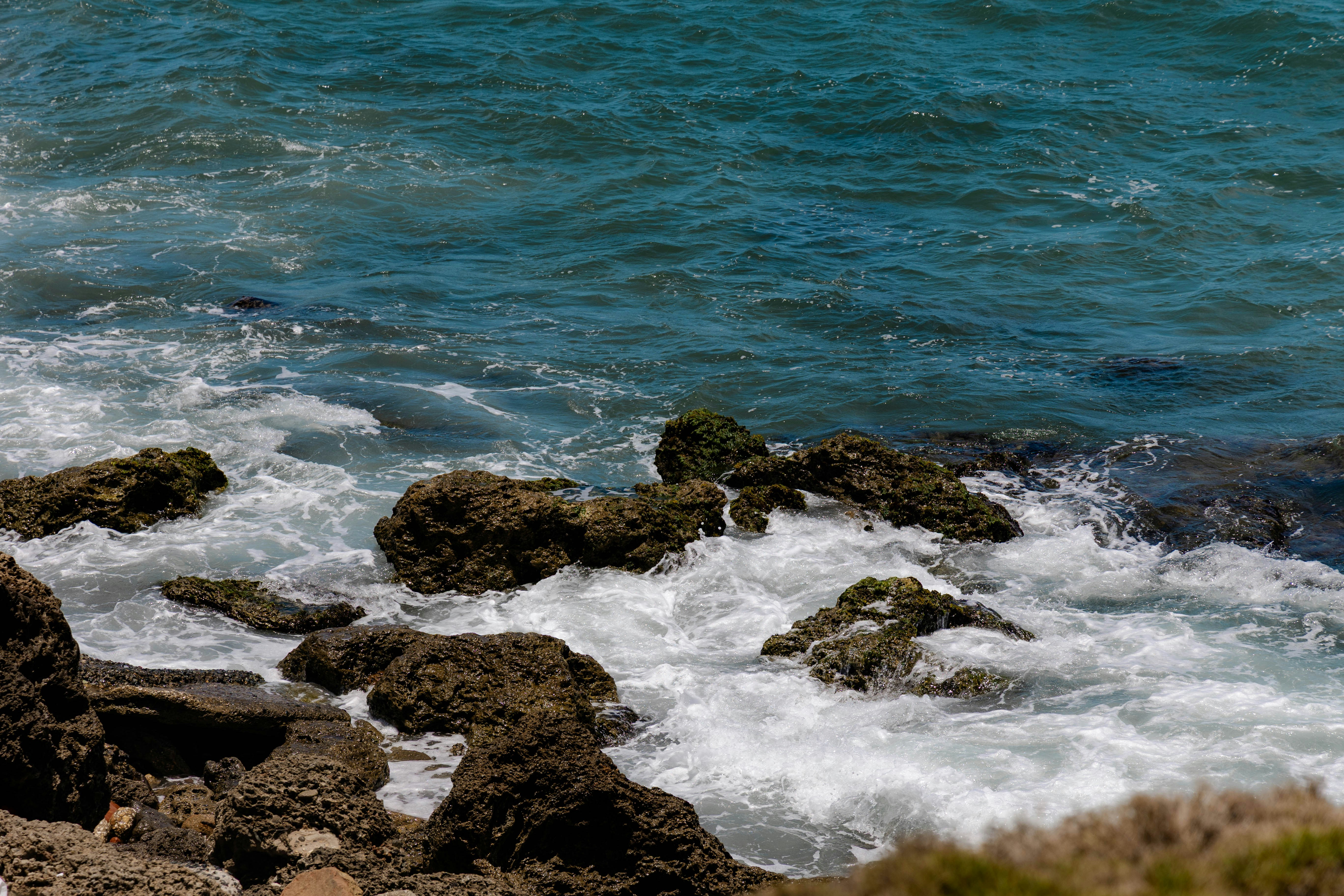 Foam and Stone: Coastal Breakers Along Sunlit Rocks
