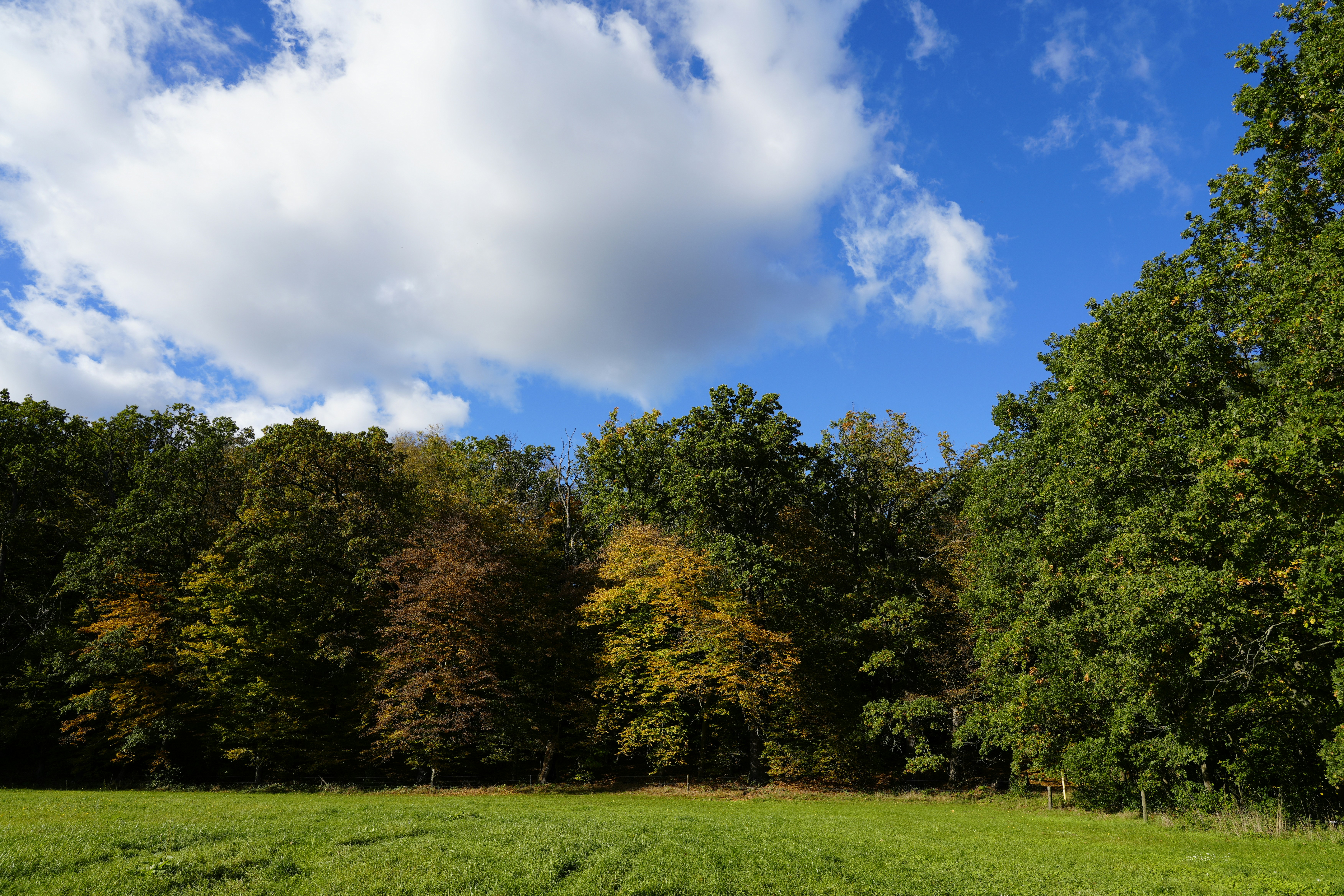 Autumn Edge: A Clear Sky Over a Quiet Hudson-like Field