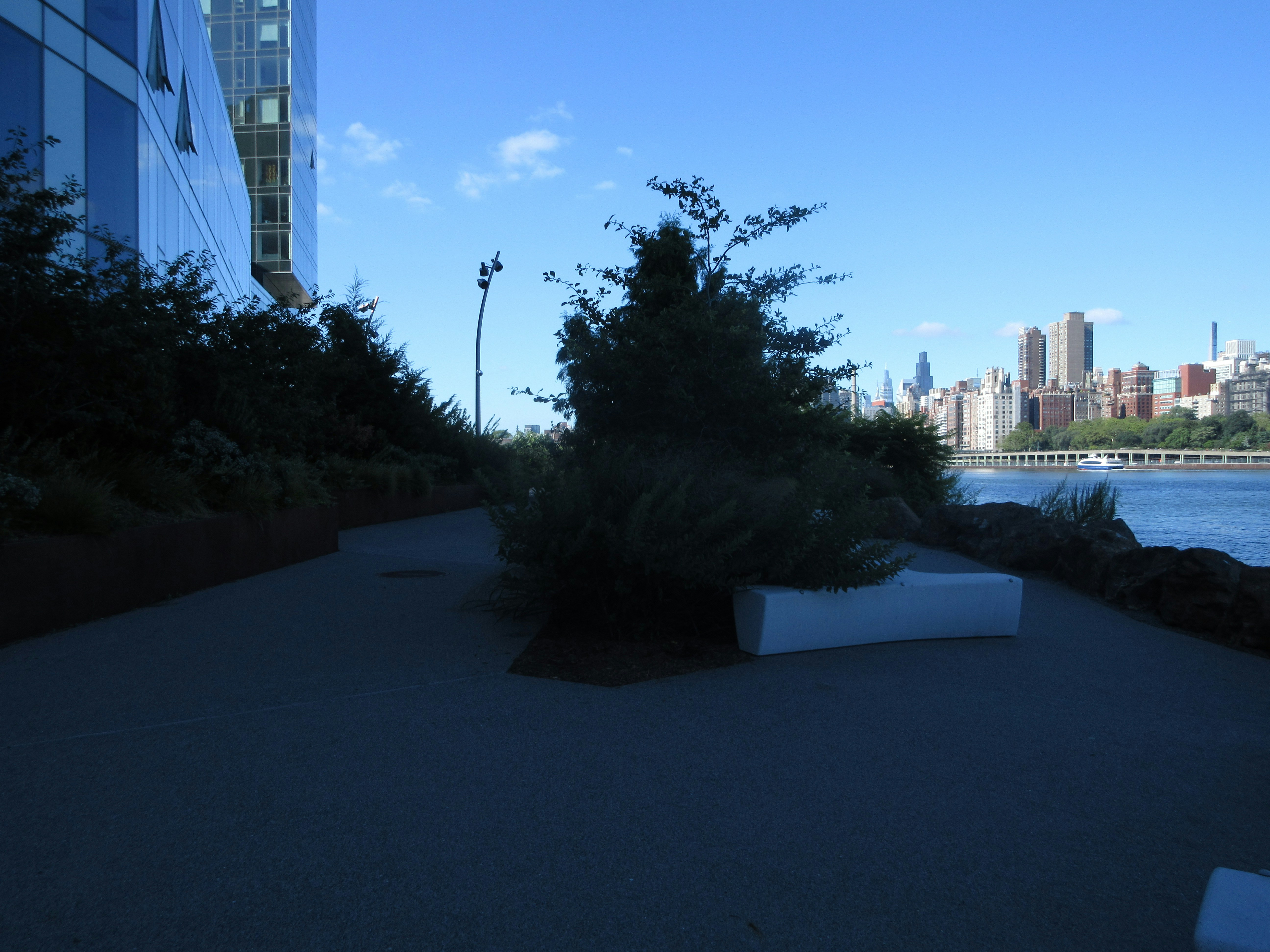 Cityscape along the River: Quiet Path with Urban Backdrop
