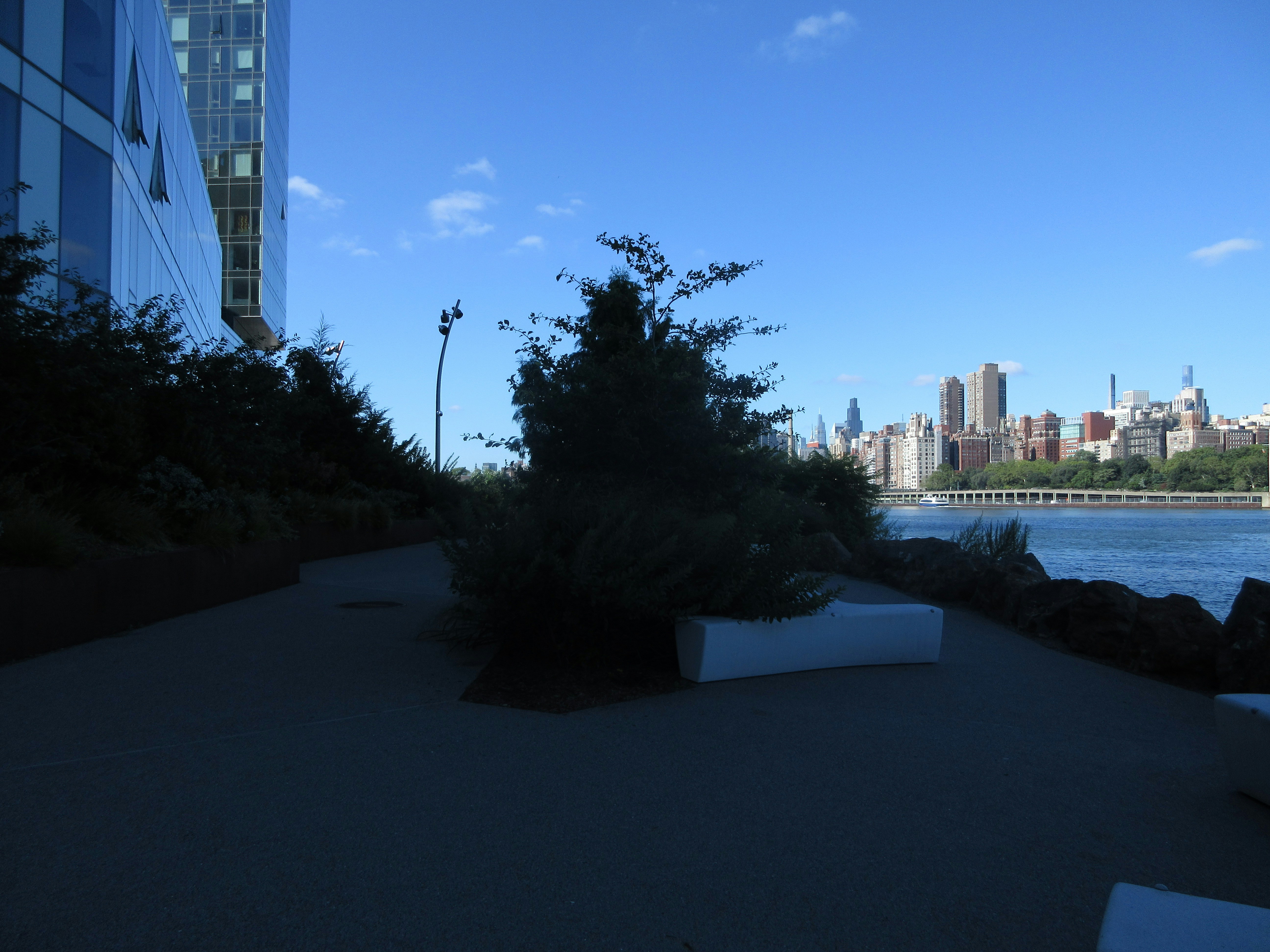 Urban Riverside Pegasus: City Skyline Beyond Waterfront Planters