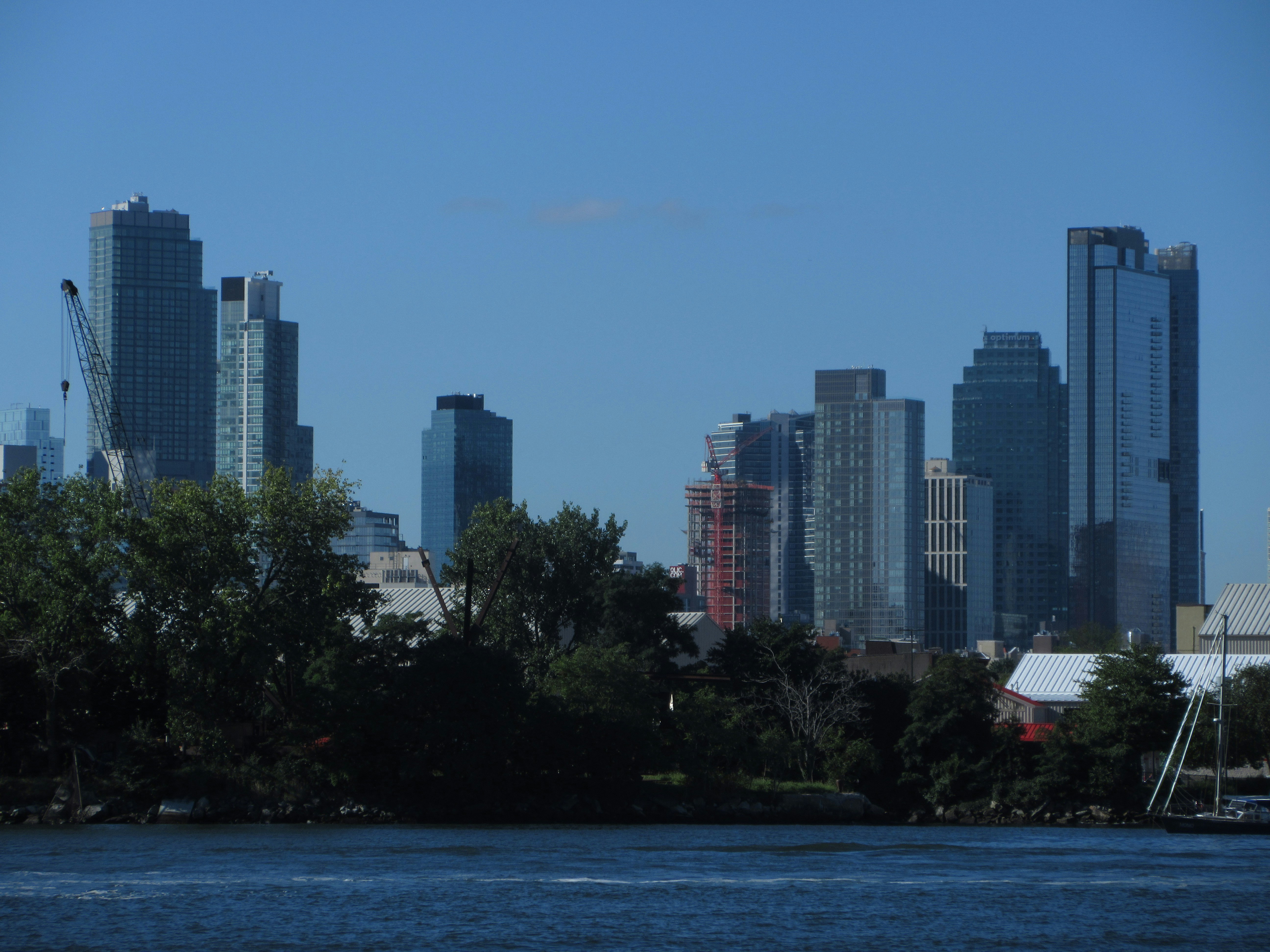 Urban Glass: A Skyline Framed by Waterfront Trees