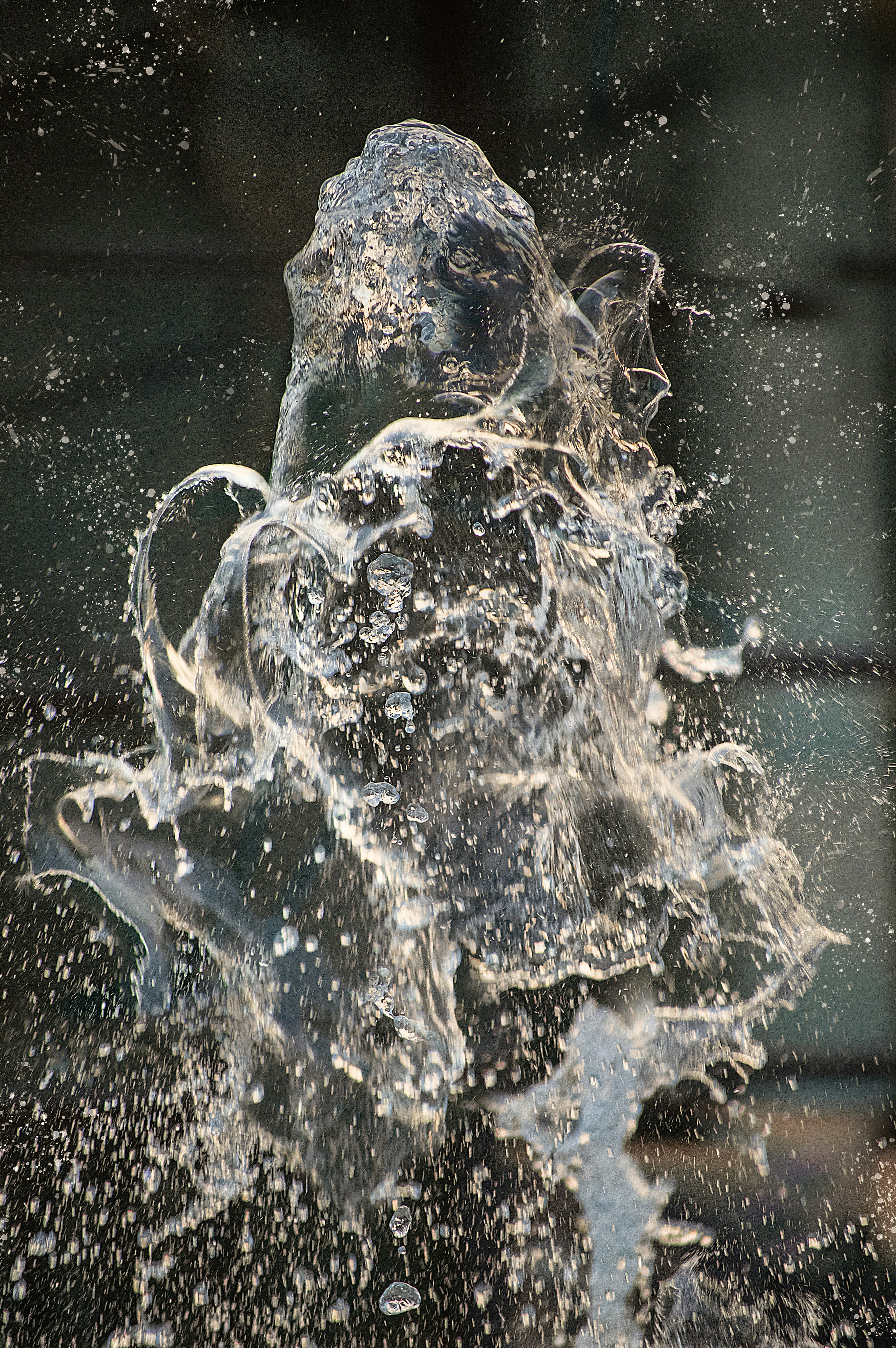 Ice-formed fountain in mid-splash with translucent droplets scattered across the frame. A dynamic vertical burst of water frozen in motion, set against a dark, blurred background.