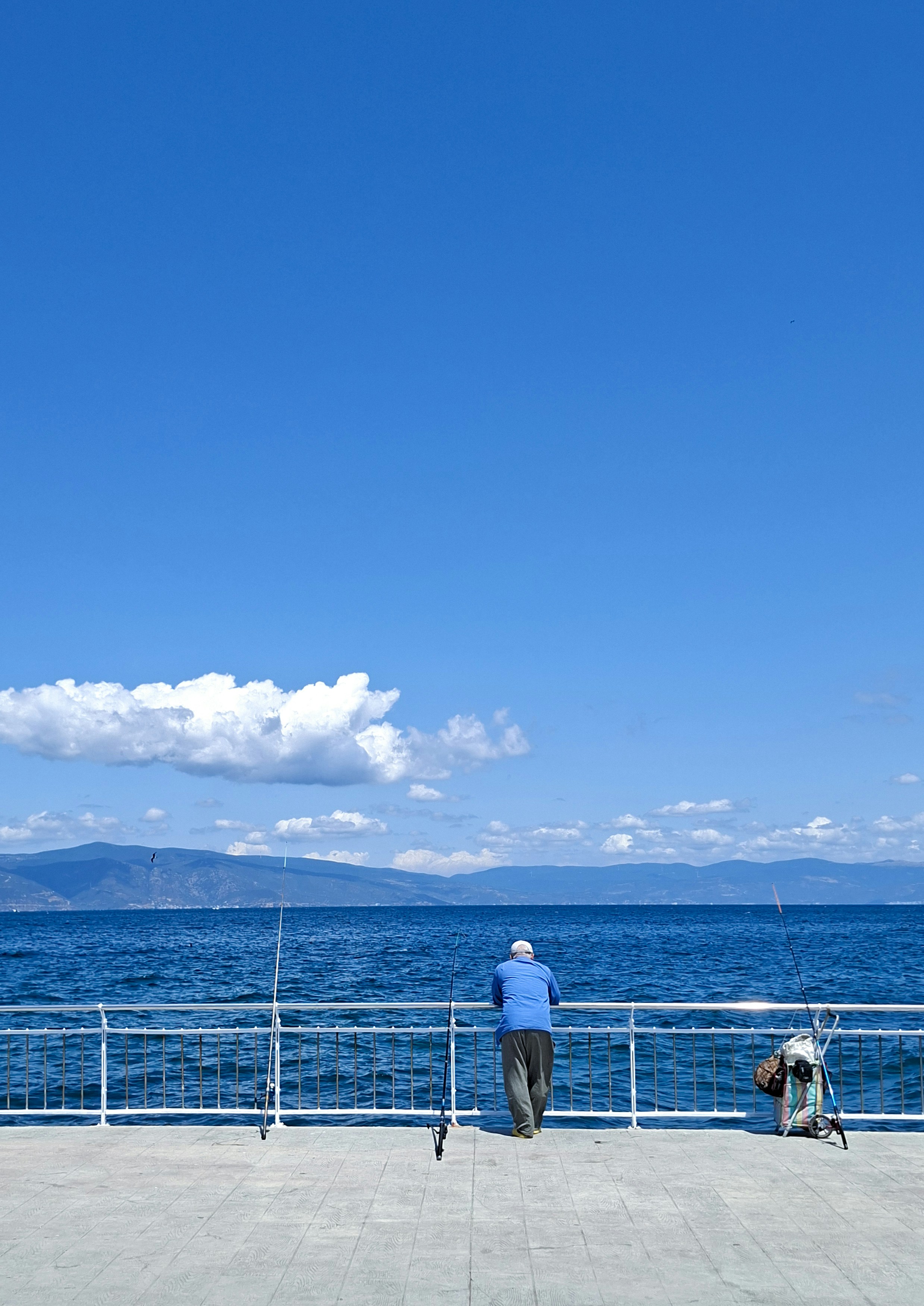 Seaside Vigil: A Lifeguard of the Horizon