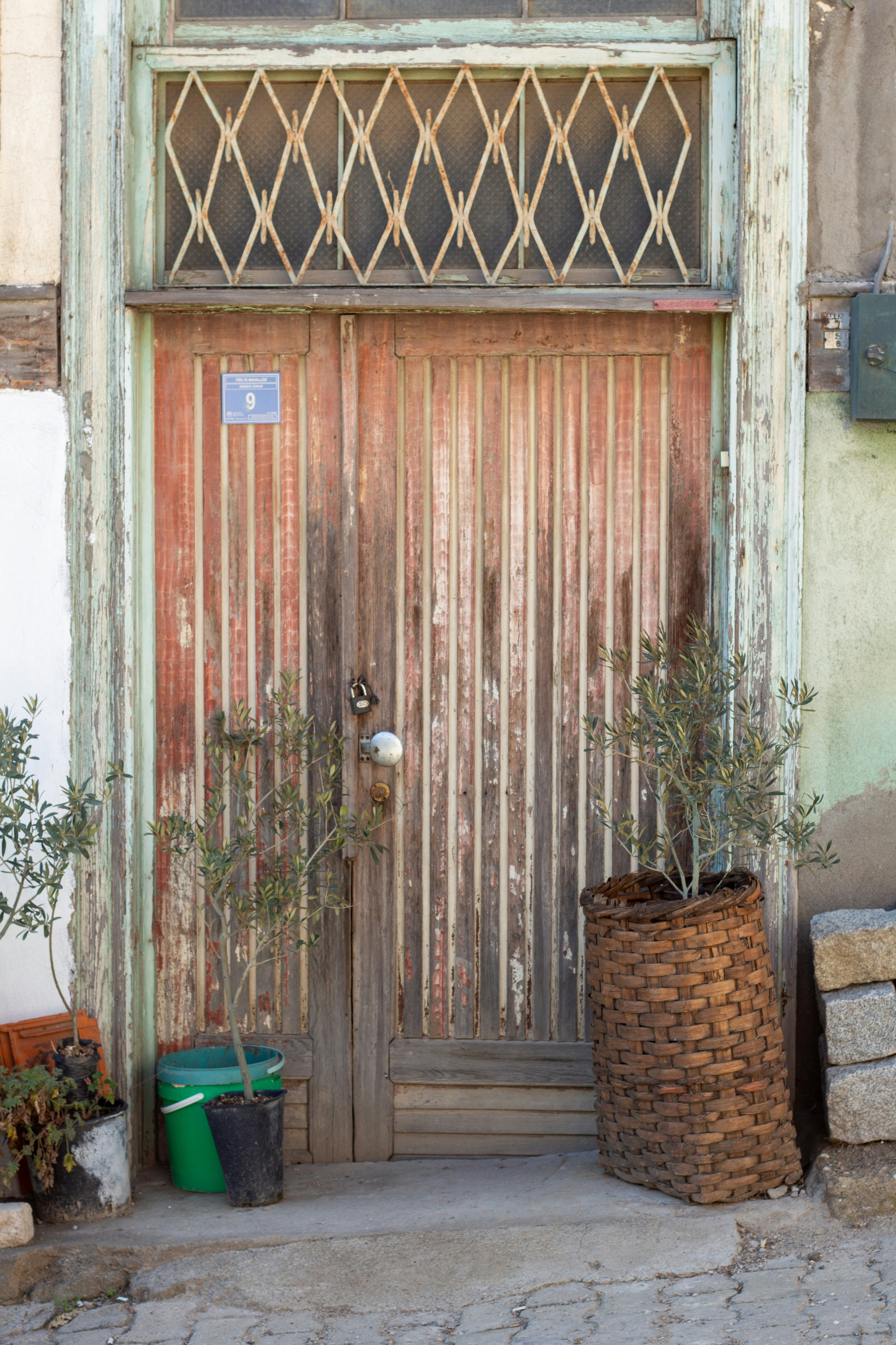 Weathered Doorway with Verdant Guests