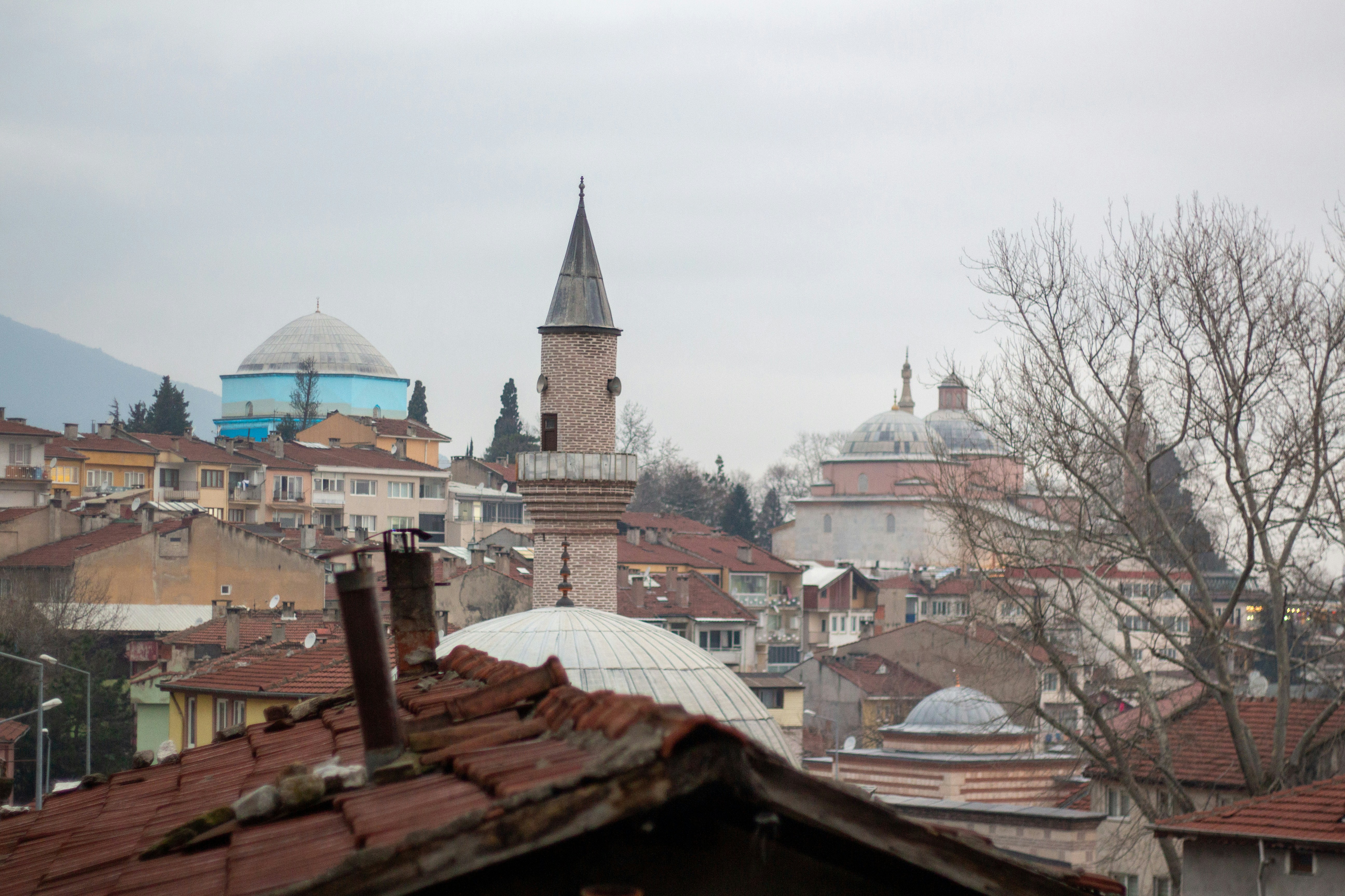 Rooftop Mosaic: A Clocktower Emerges Over a Timeless Turkish Town