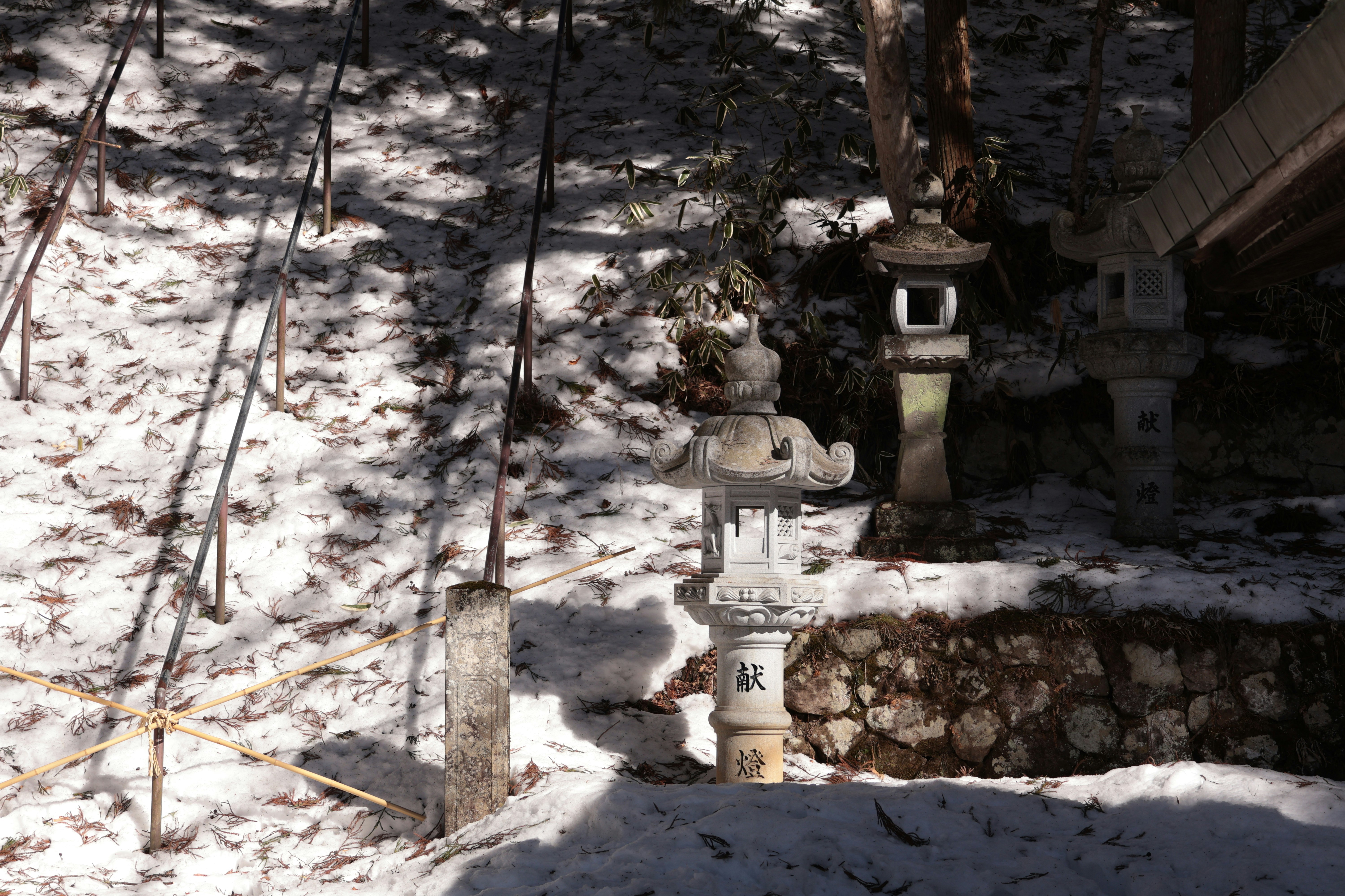 Snowlit Shrine Lanterns under Ghostly Pines