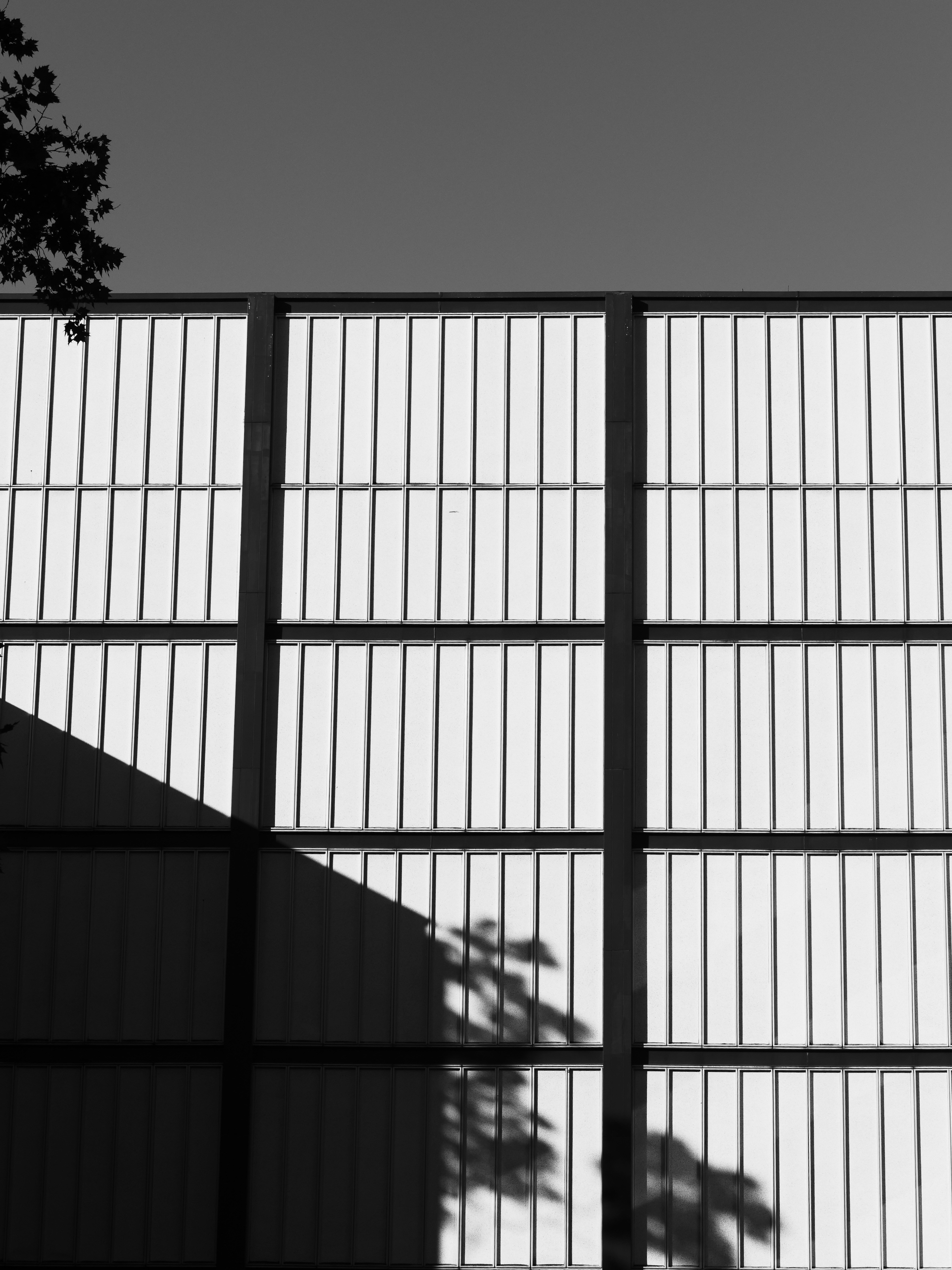 Shadows Crossing a Grid: The Sunlit Fence and Tree Echo