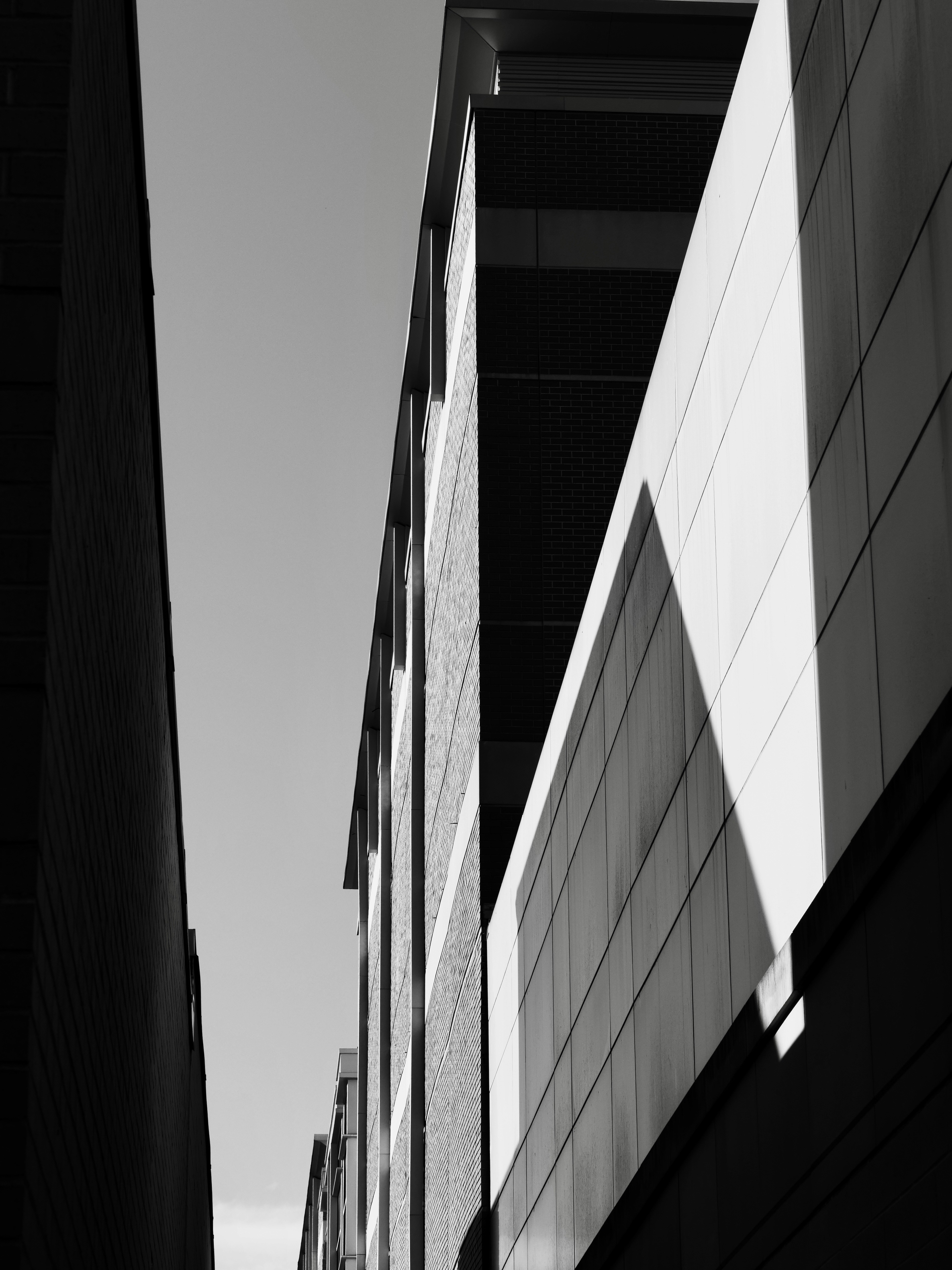 Vertical Facade Lines Converge: A Study in Modern Architectural Geometry