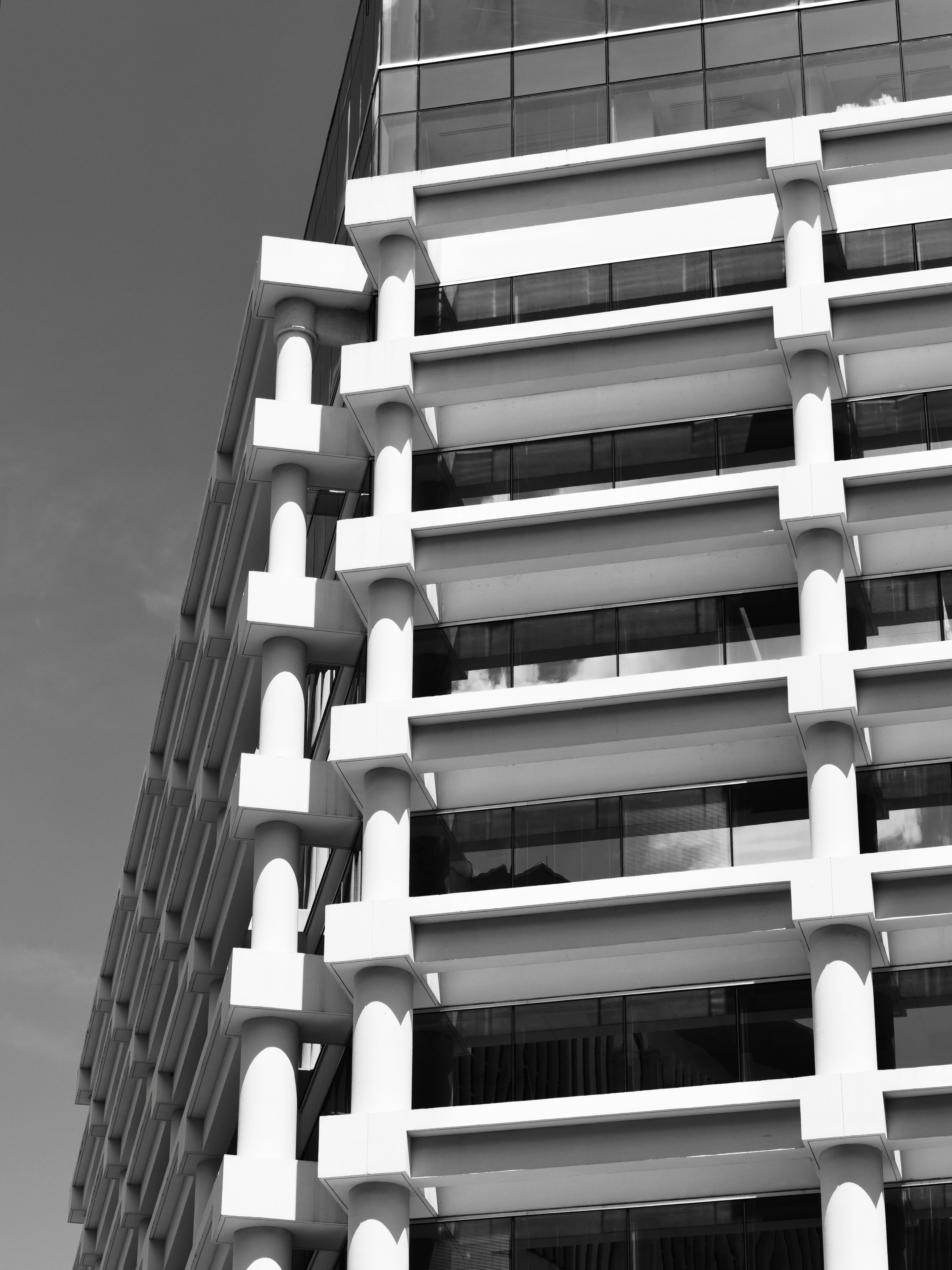Grid of Shadows: A Tall Facade Reaching for the Sky