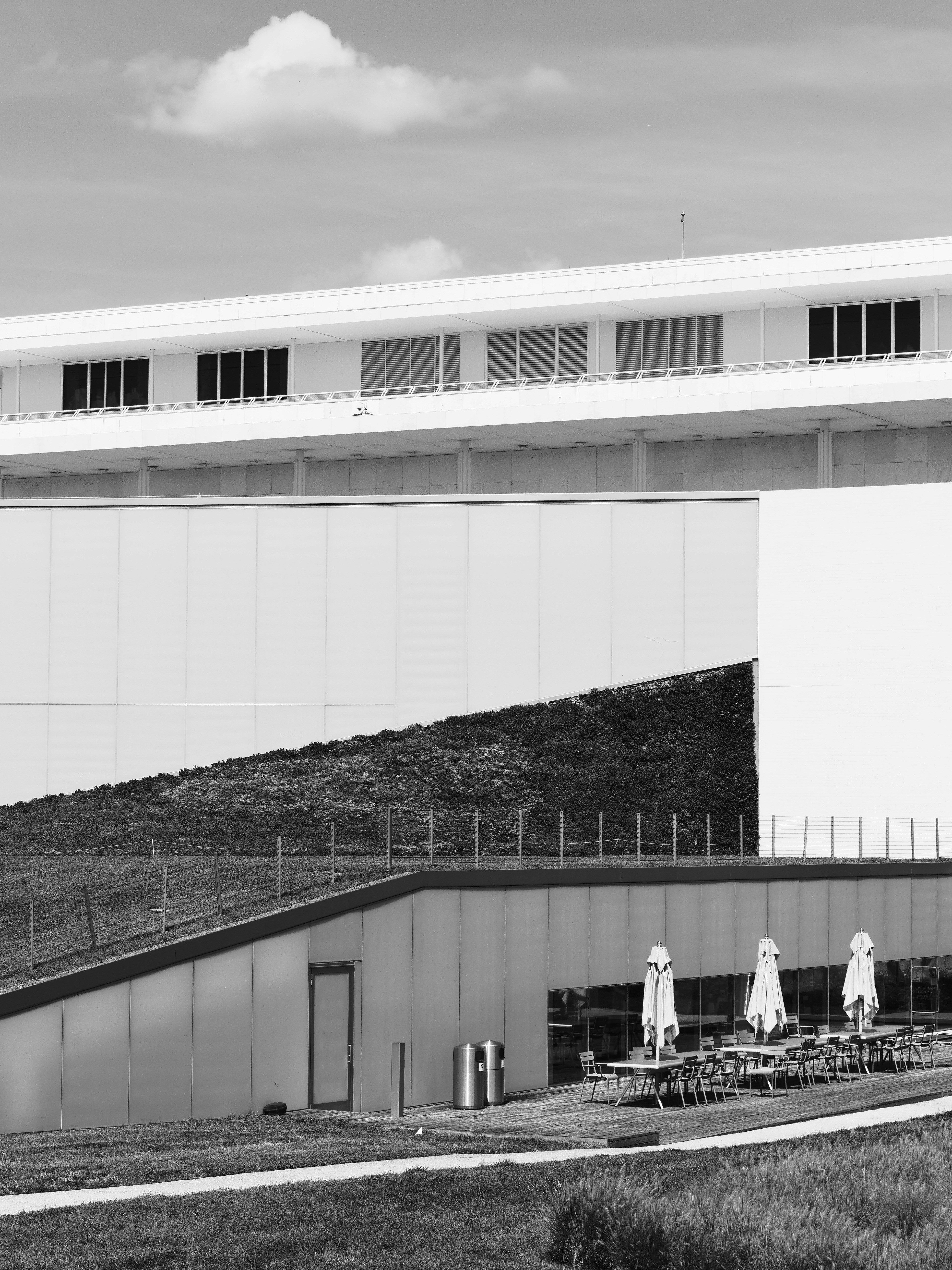 Midcentury Modern Facade: A Quiet Structural Ballet
