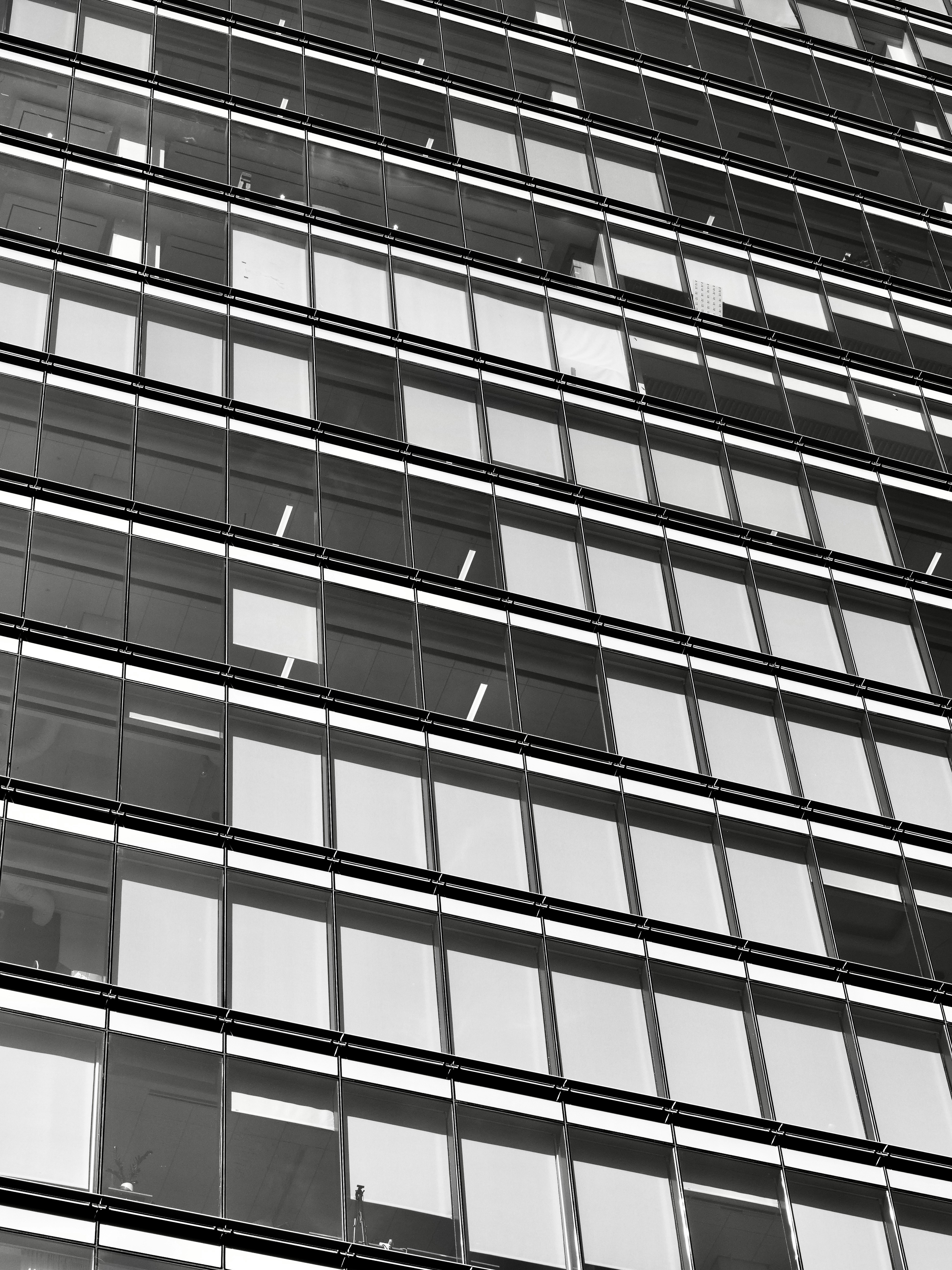 Diagonal Glass Grid: A Study in Repeating Lines