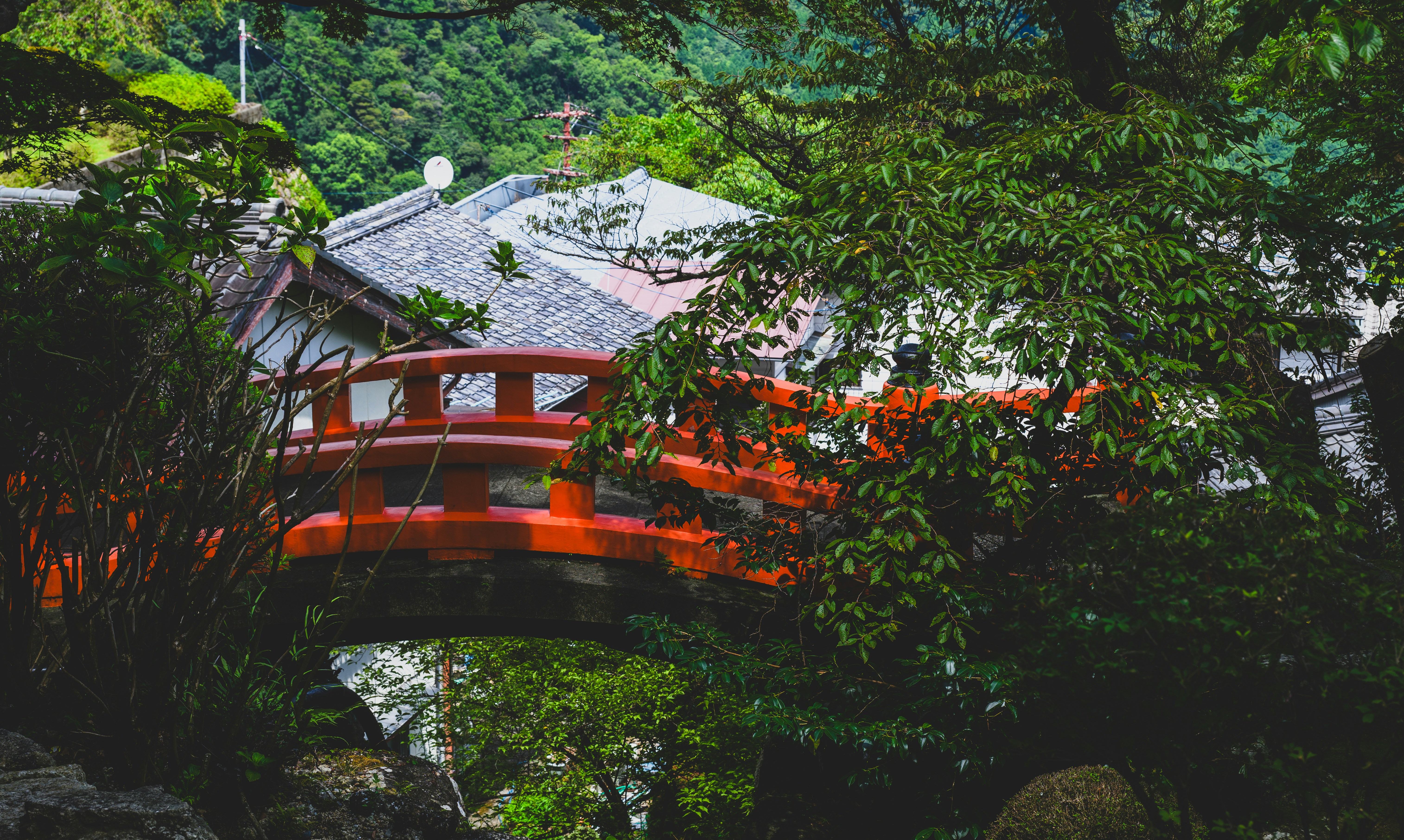 Red Arch Over Quiet Stream: A Hidden Garden Bridge