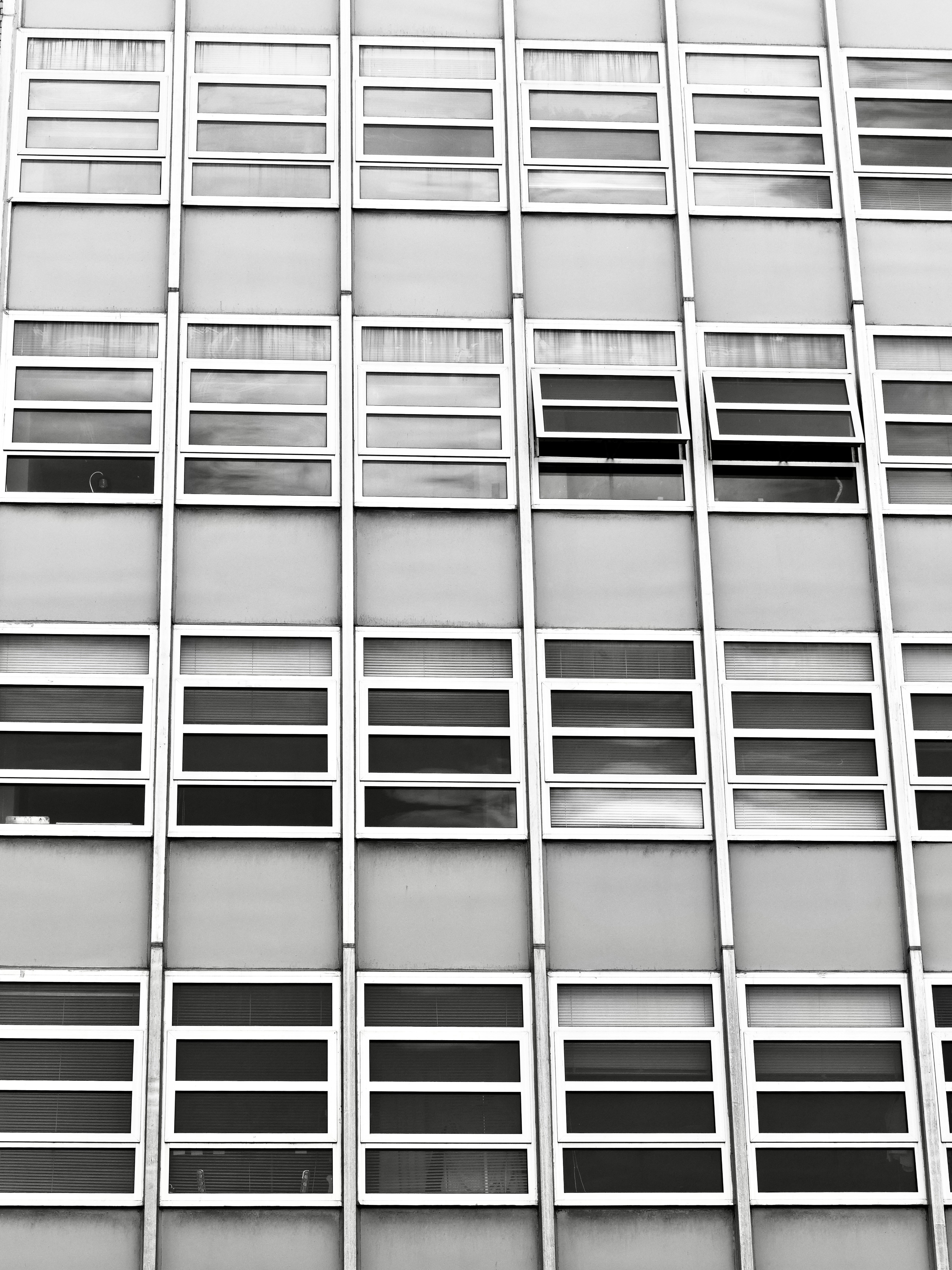 Grid of Windows: Repeating Frames in Monochrome Rhythm