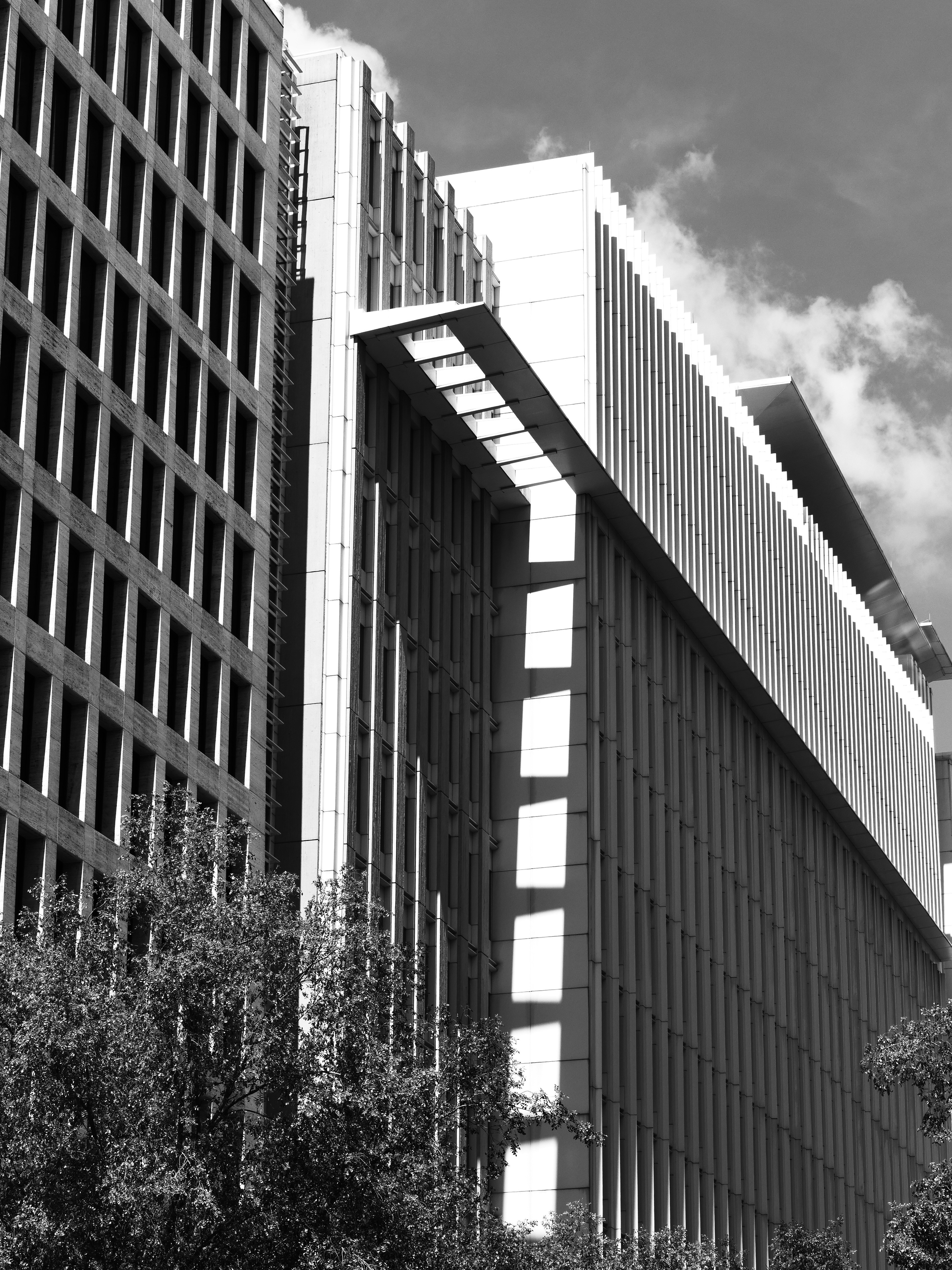 Skyscraper Rhythm: A Play of Light and Lines