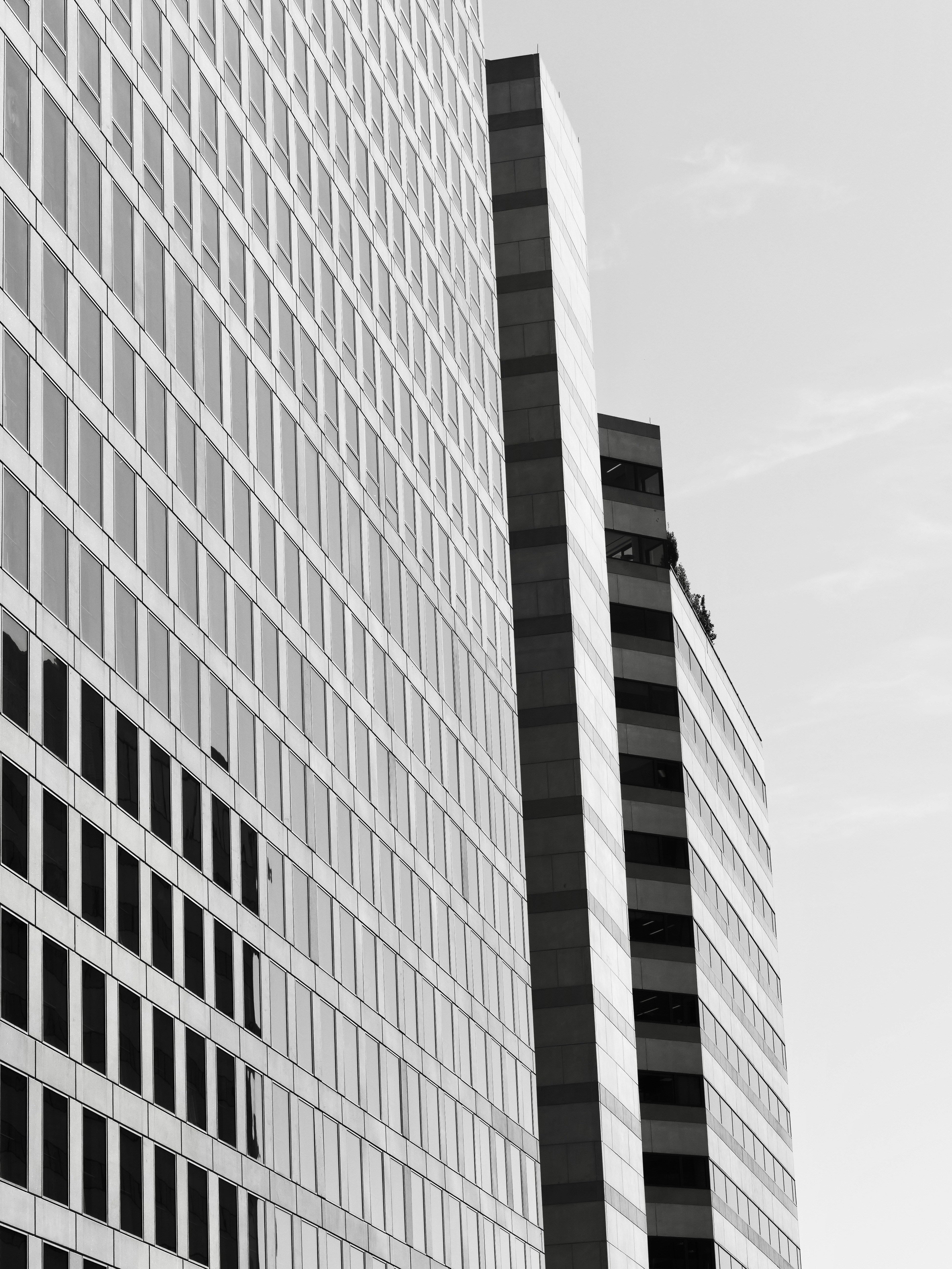 Vertical Facade: An Abstract Dance of Glass and Shadow