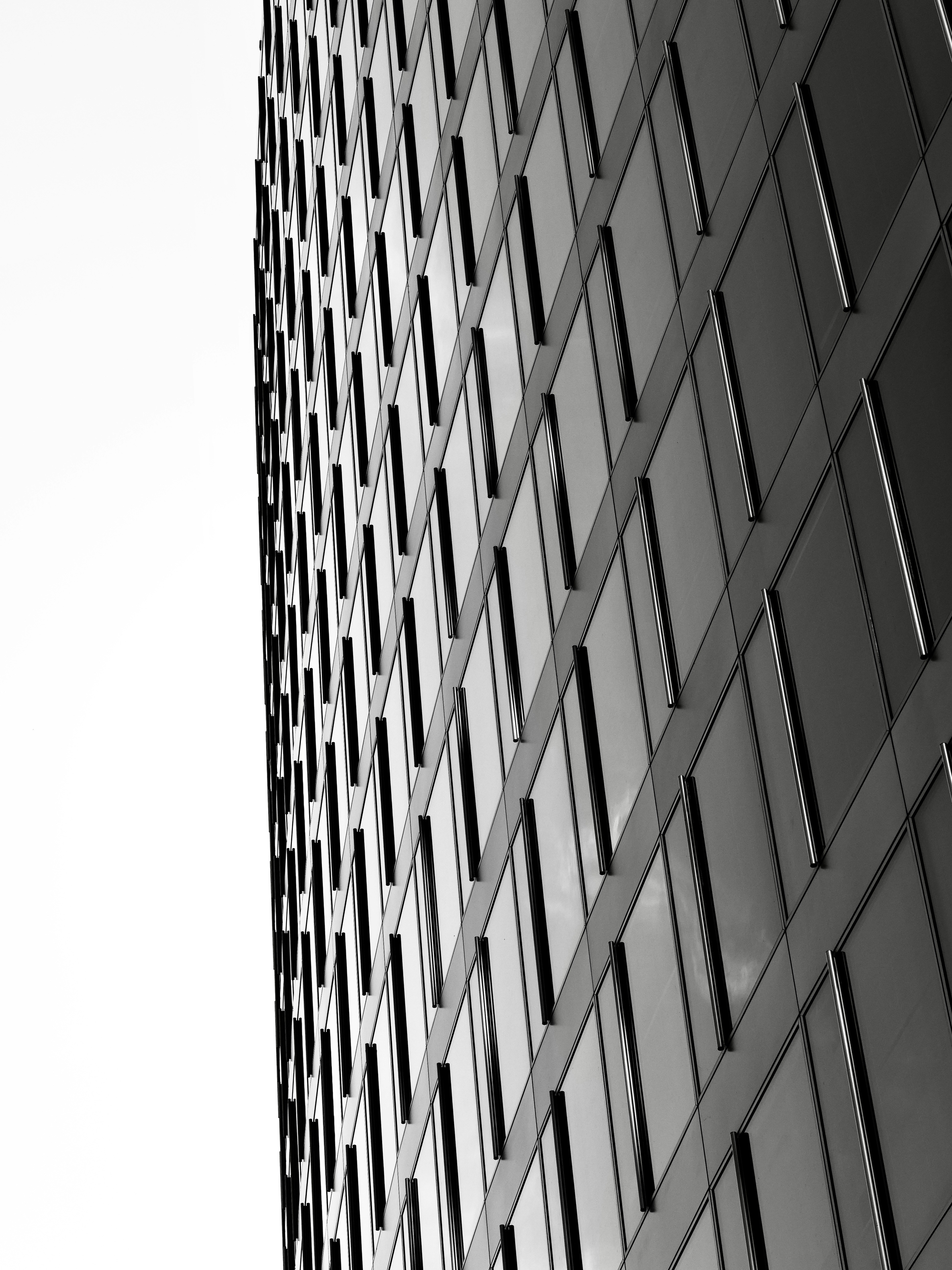 Diagonal Facade: A Monochrome Dance of Rectangles