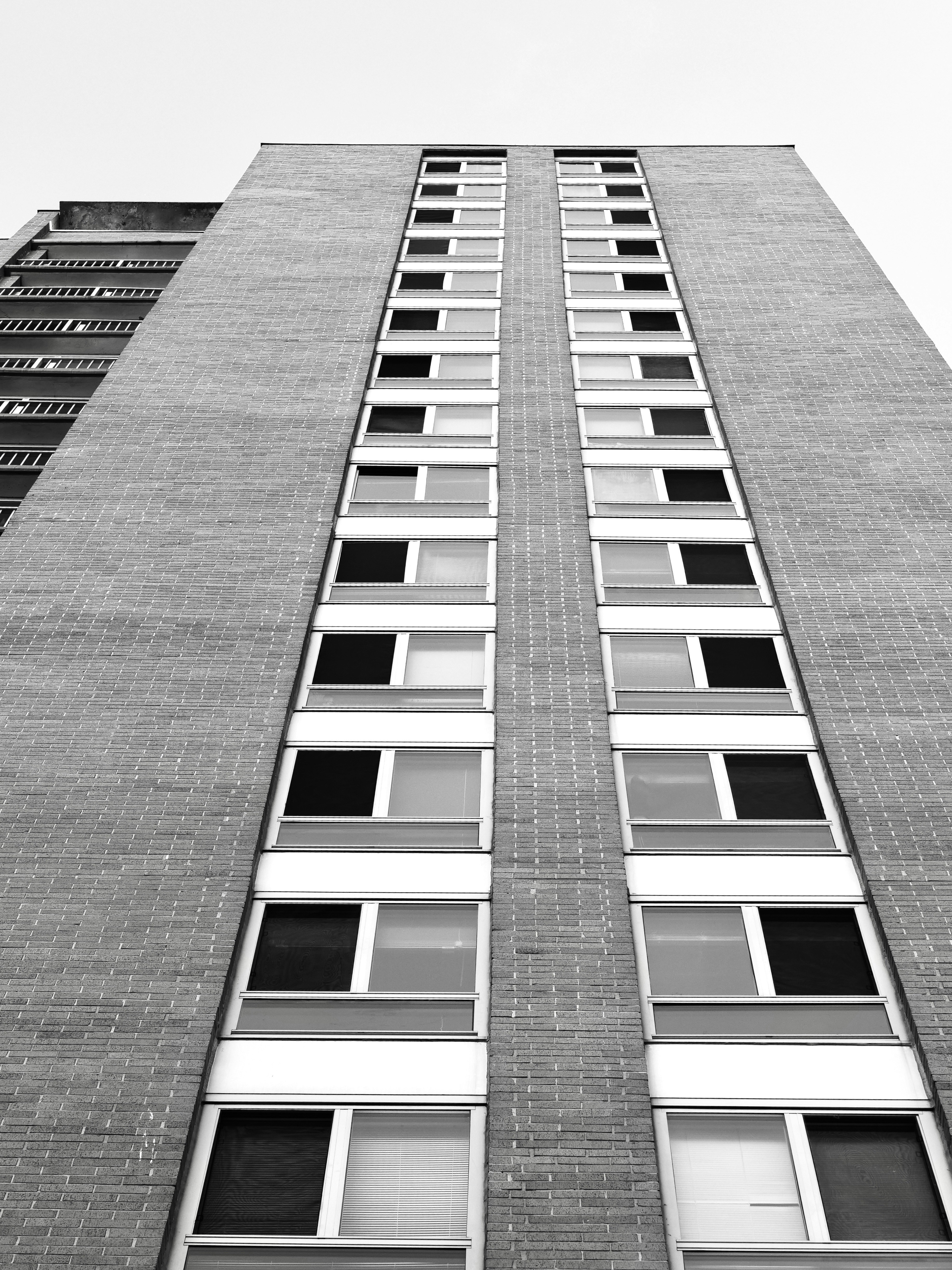 Monolithic Facade: A Vertical Study in Window Rows