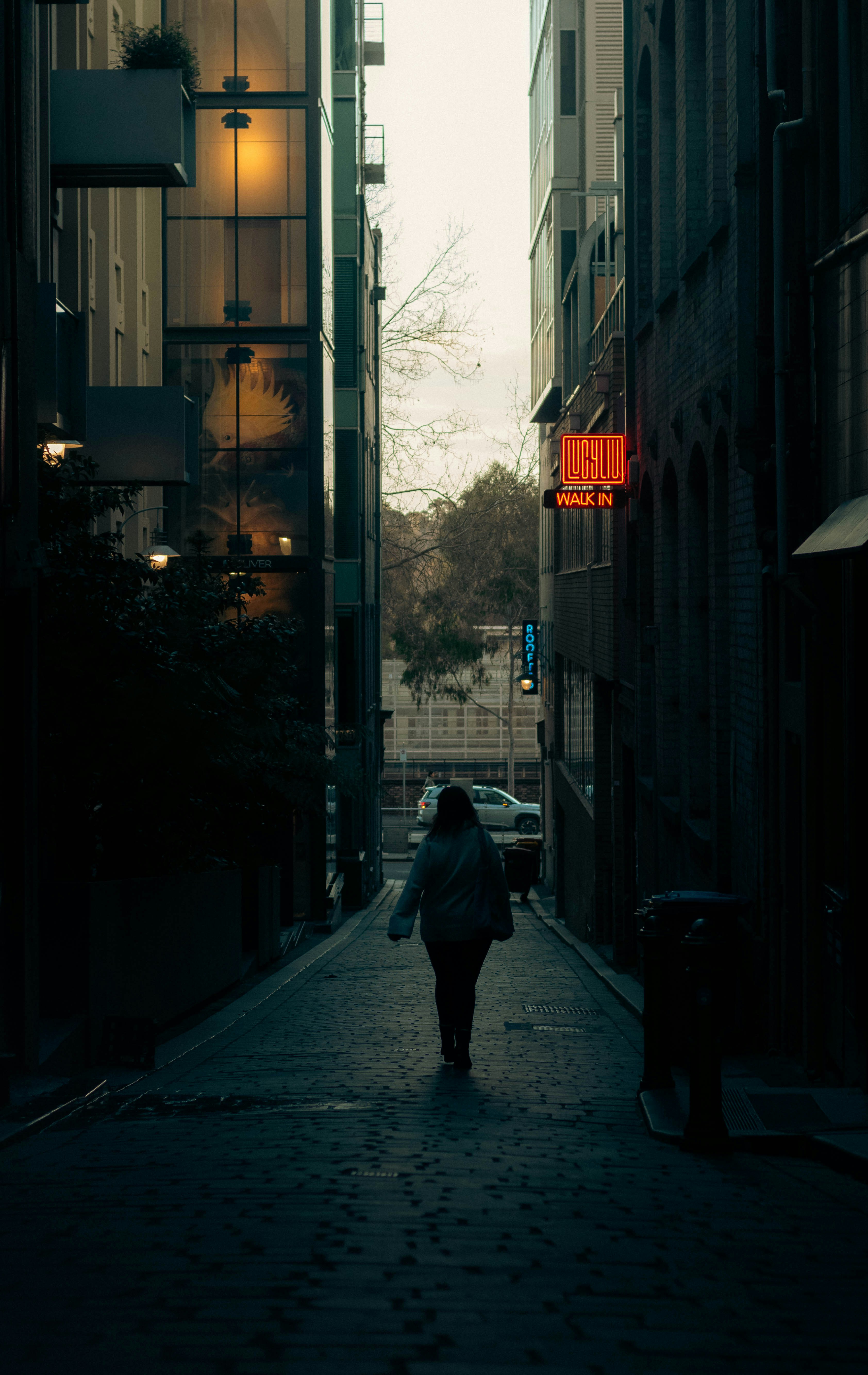 Whispered Path: A lone figure in a shadowed city alley