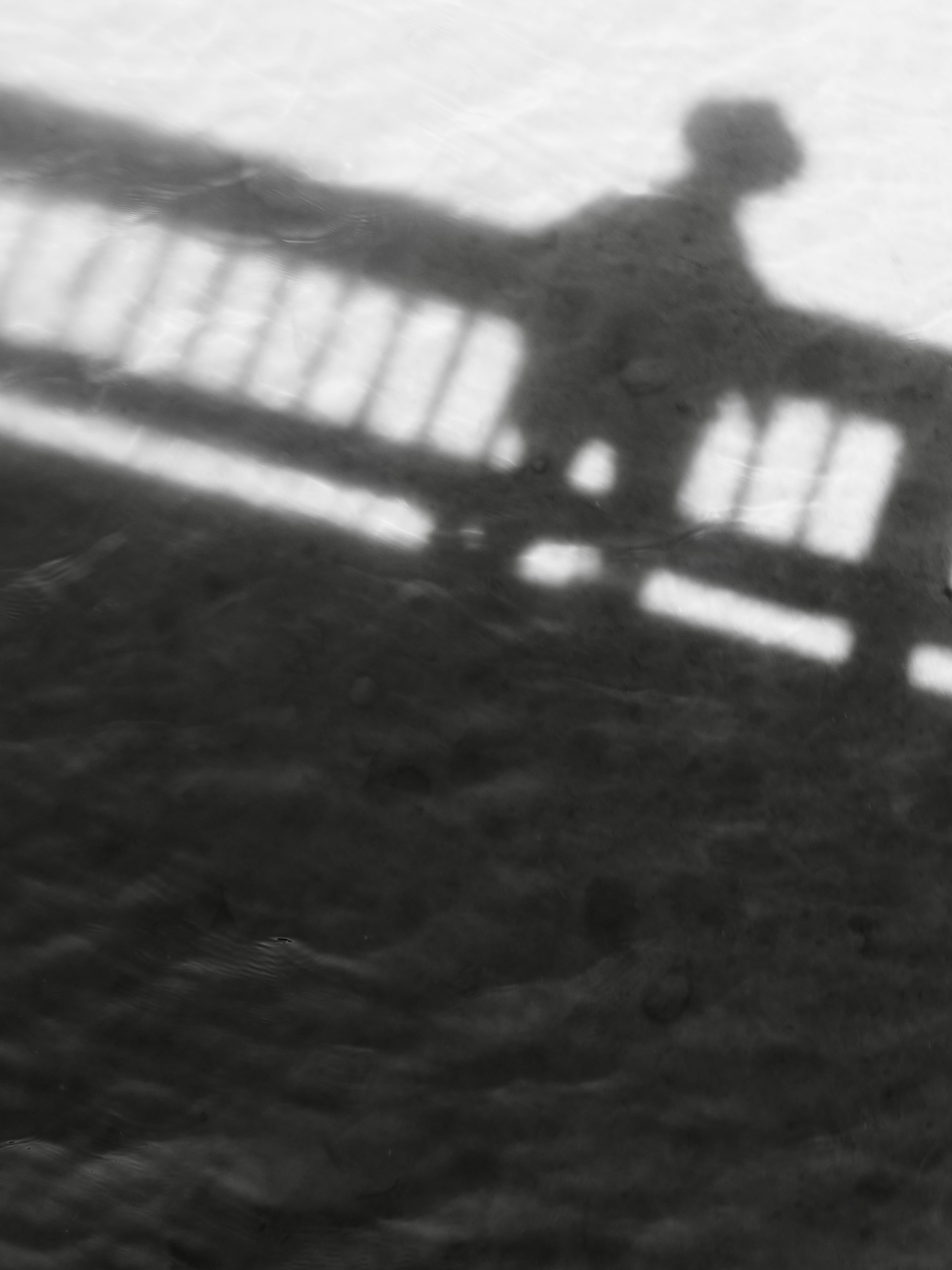 Shadow Over the Fence: A Quiet Noon on the Ground