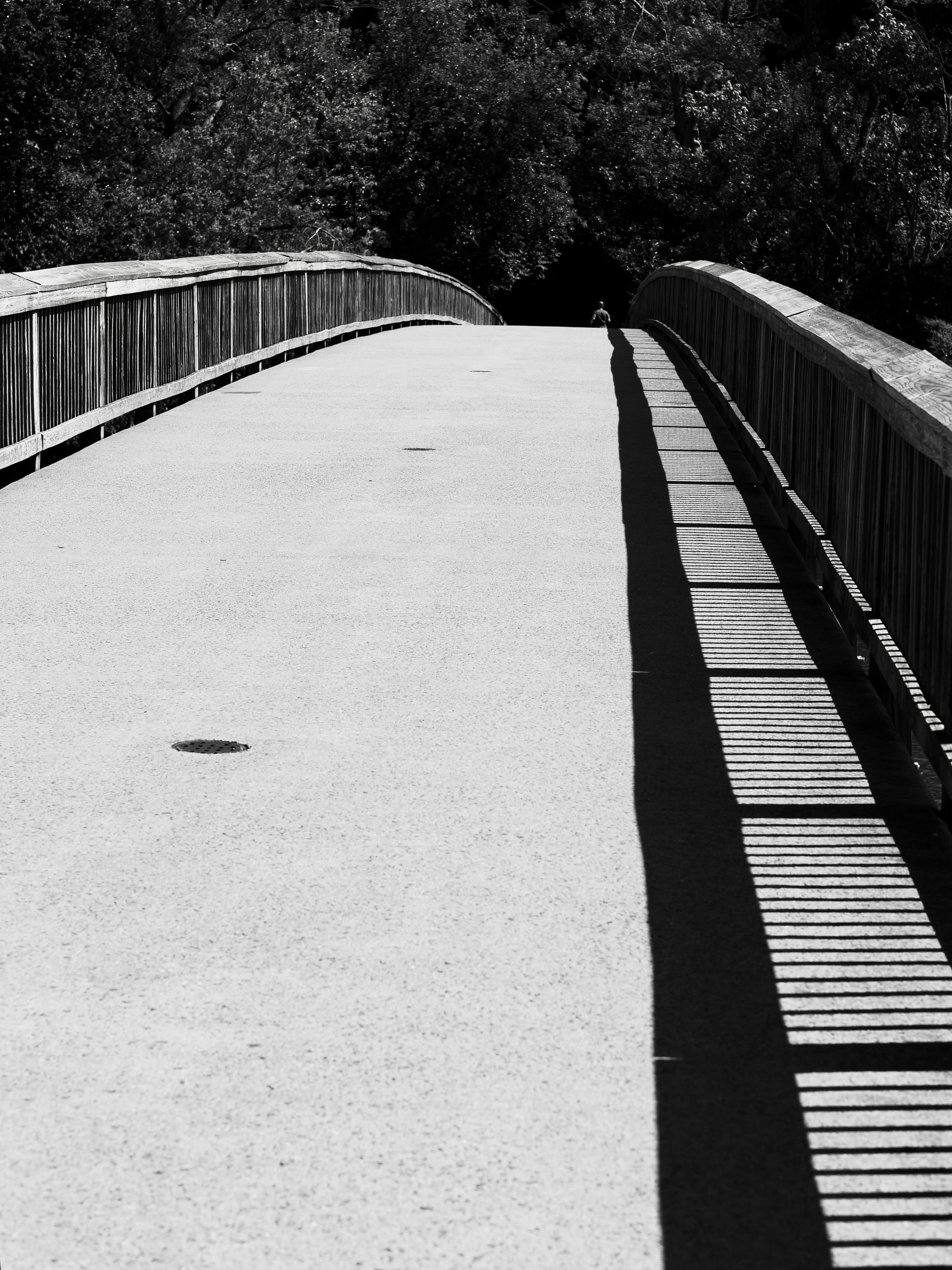 Bridge to the Shadowed Orchard