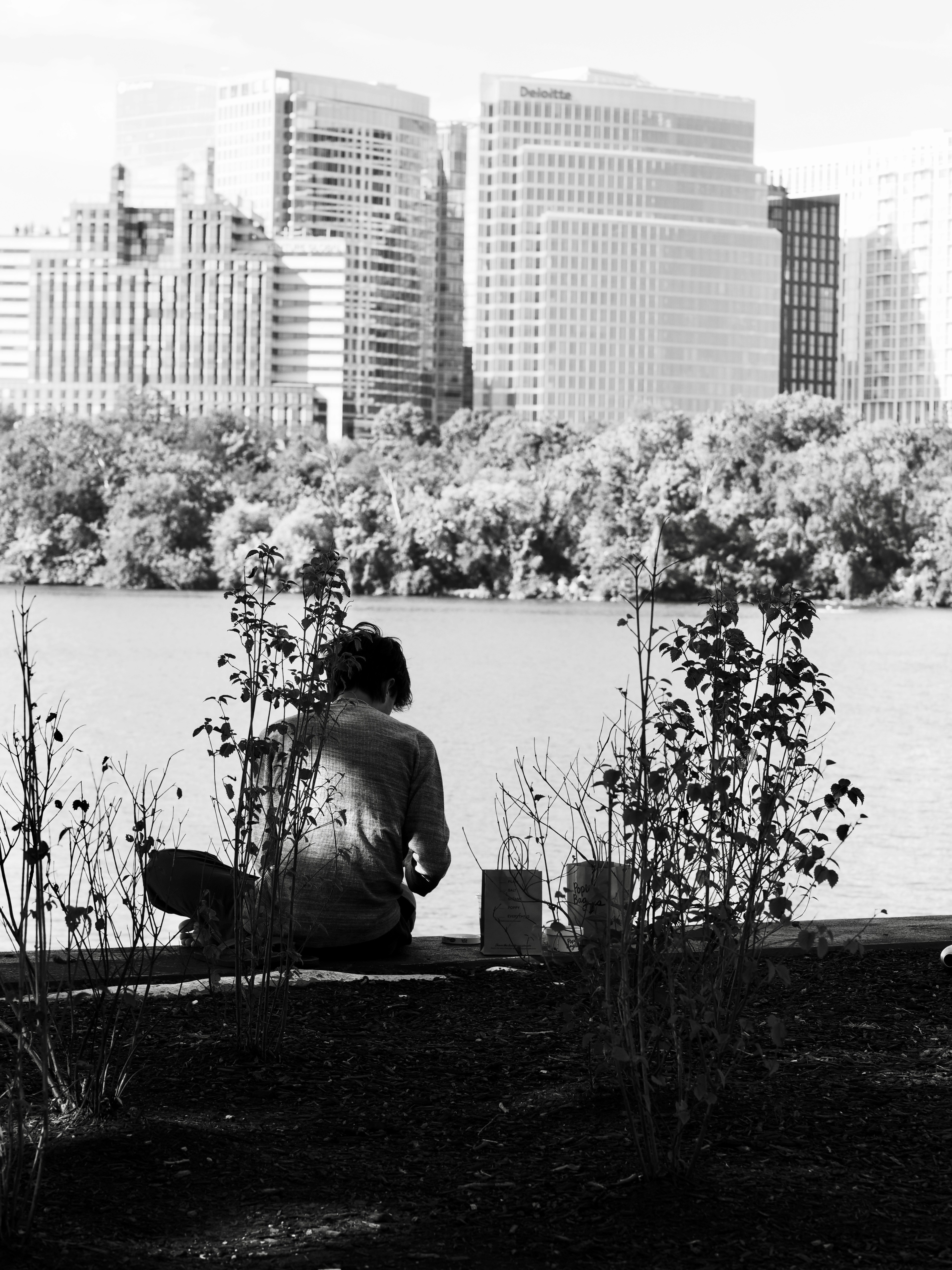 Stillness by the Riverside Skyline