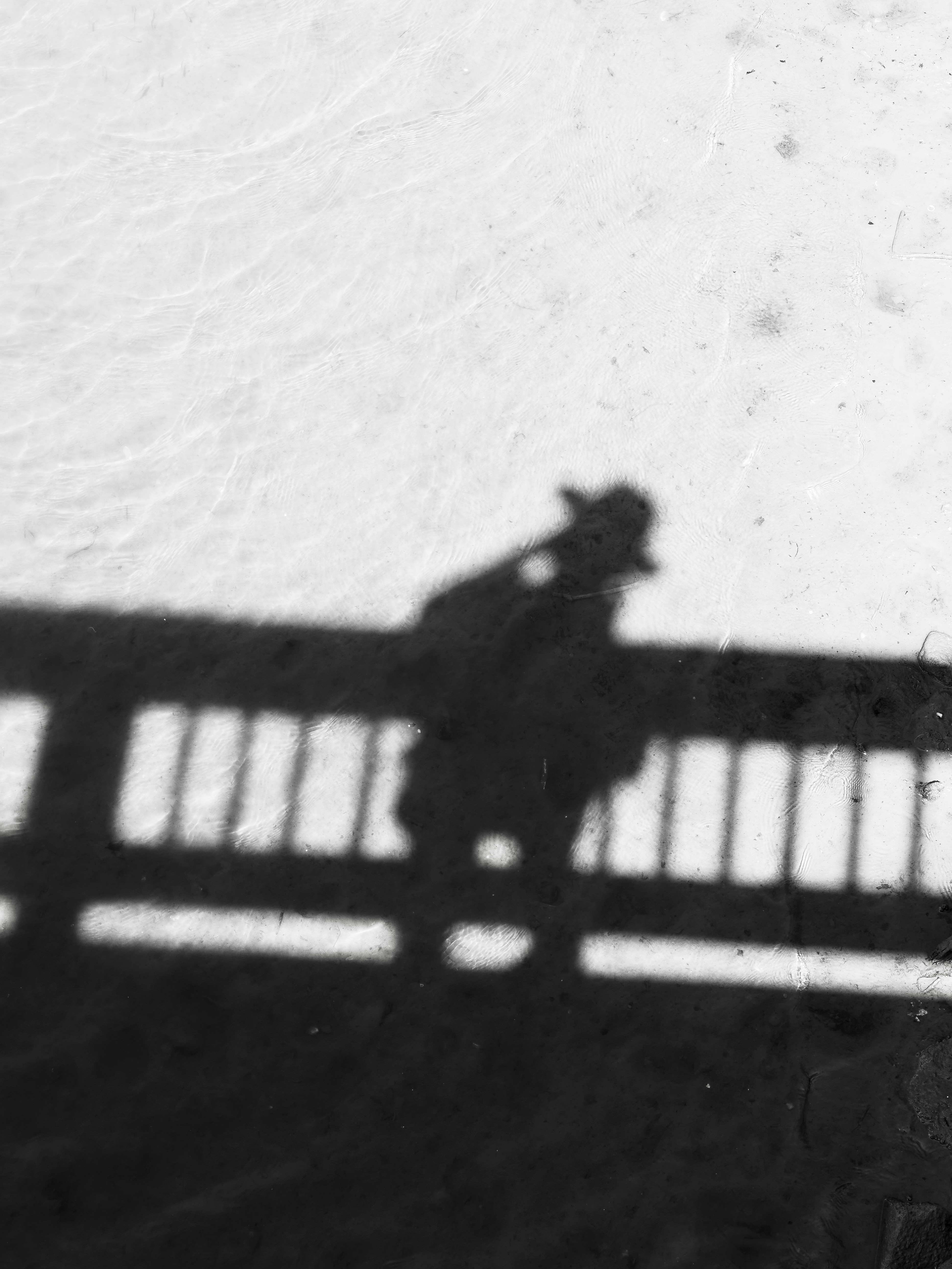 Shadow Over the Railing: A Quiet Moment on a Sunlit Terrace