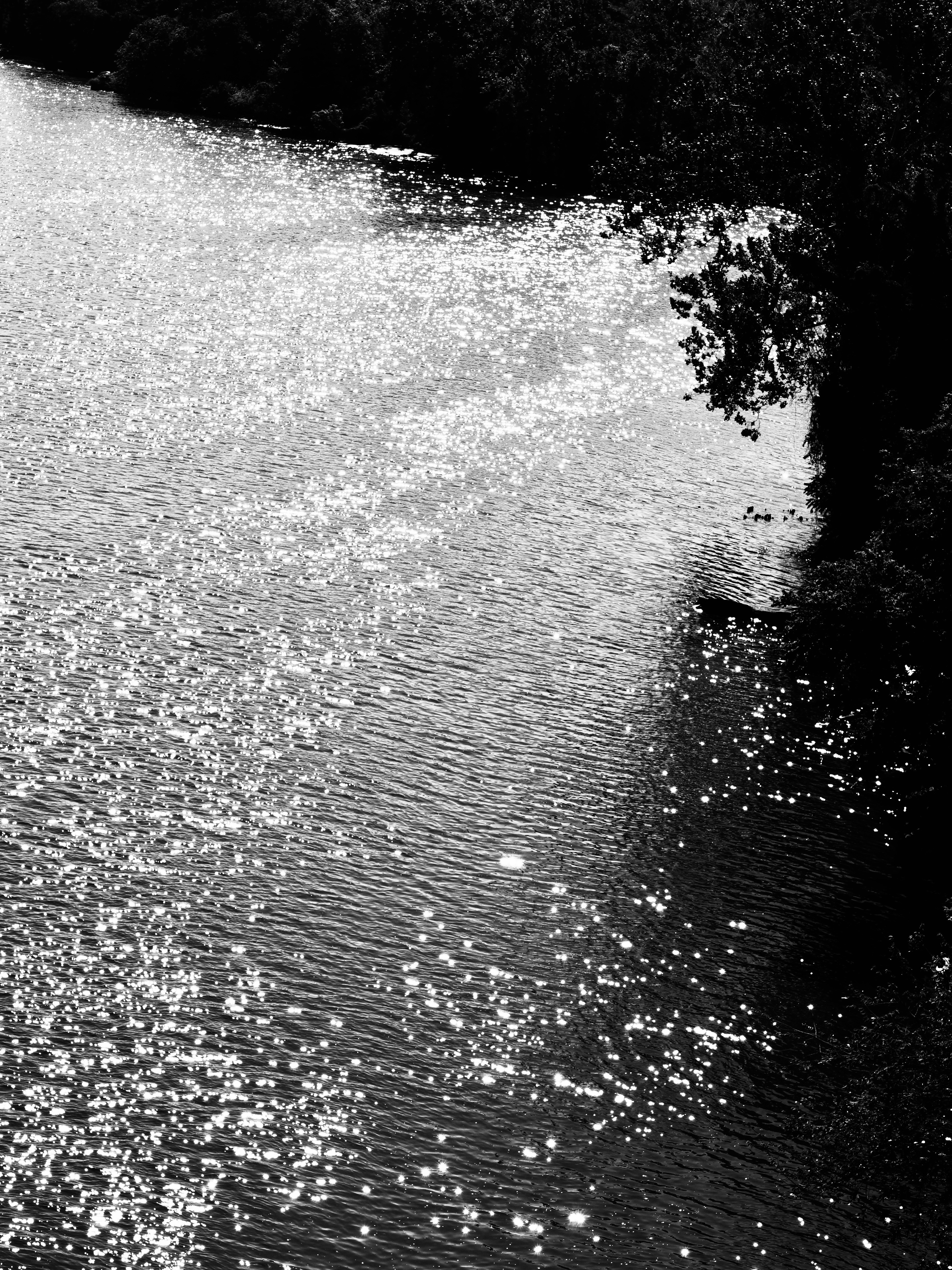 Glittering Shoreline: Sunlit Ripples on a Dark Riverbank