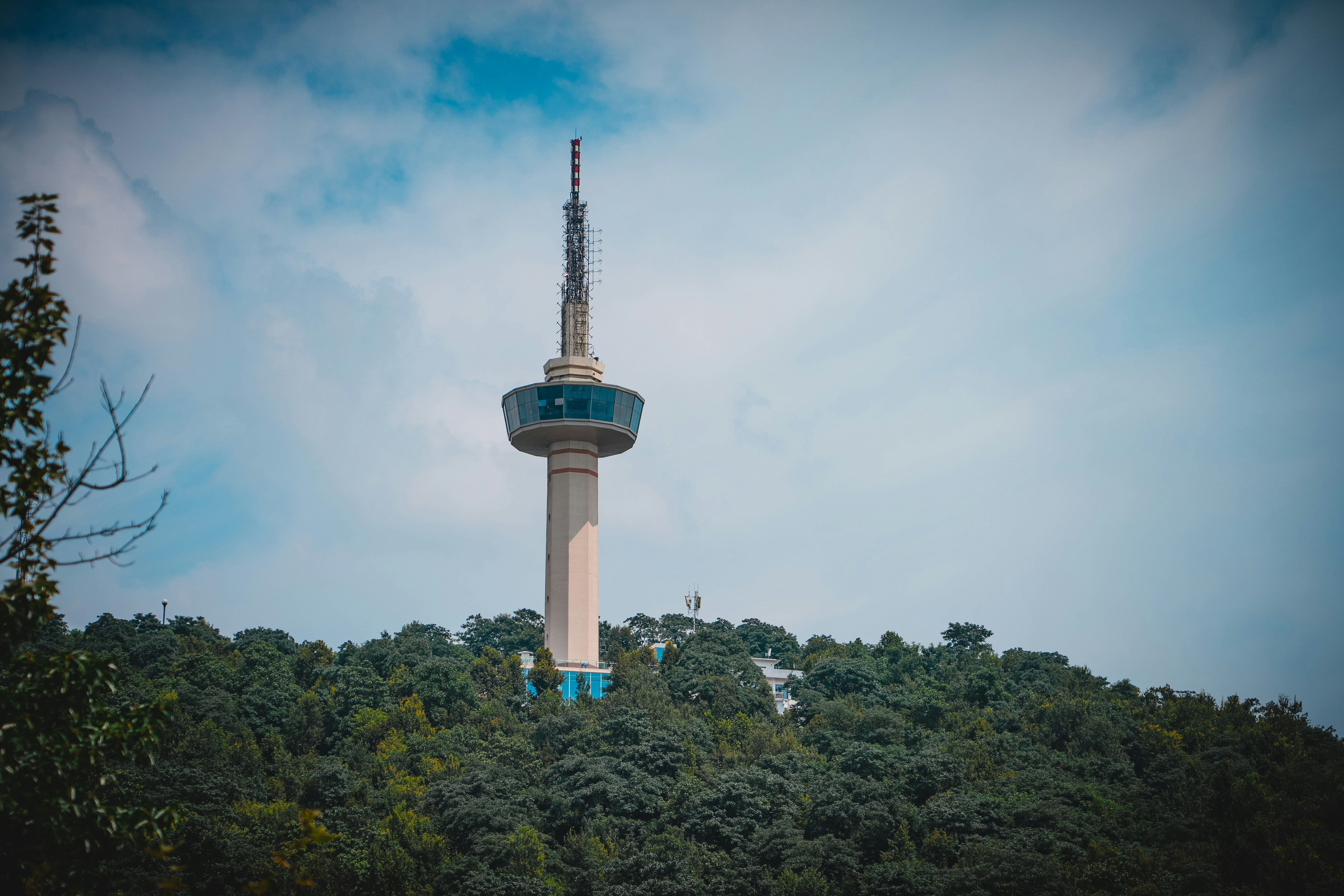 Beacon Above the Canopy: A Tower Rises Over the Hill