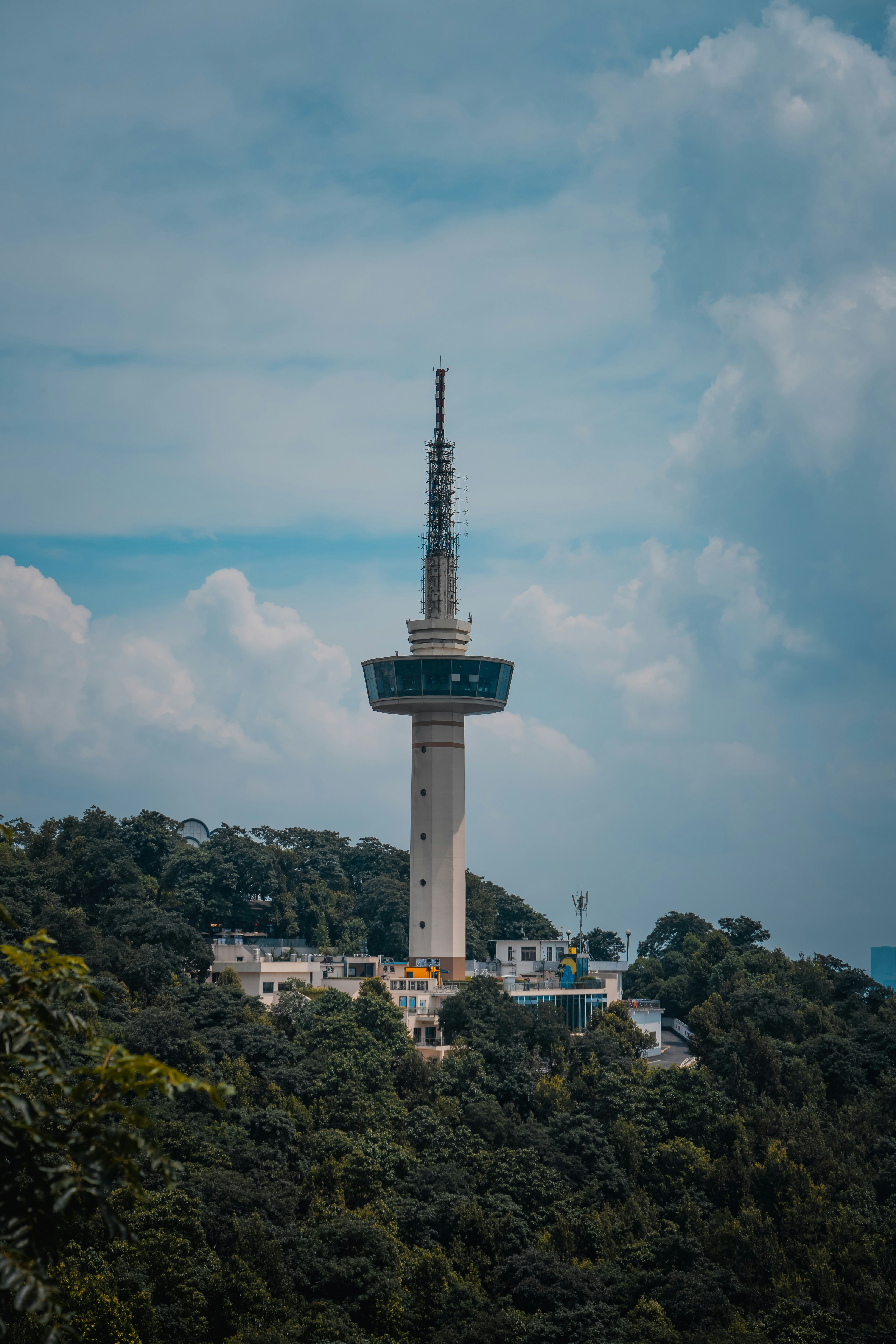 Midair Sentinel: A Tower Rising Above the Canopy