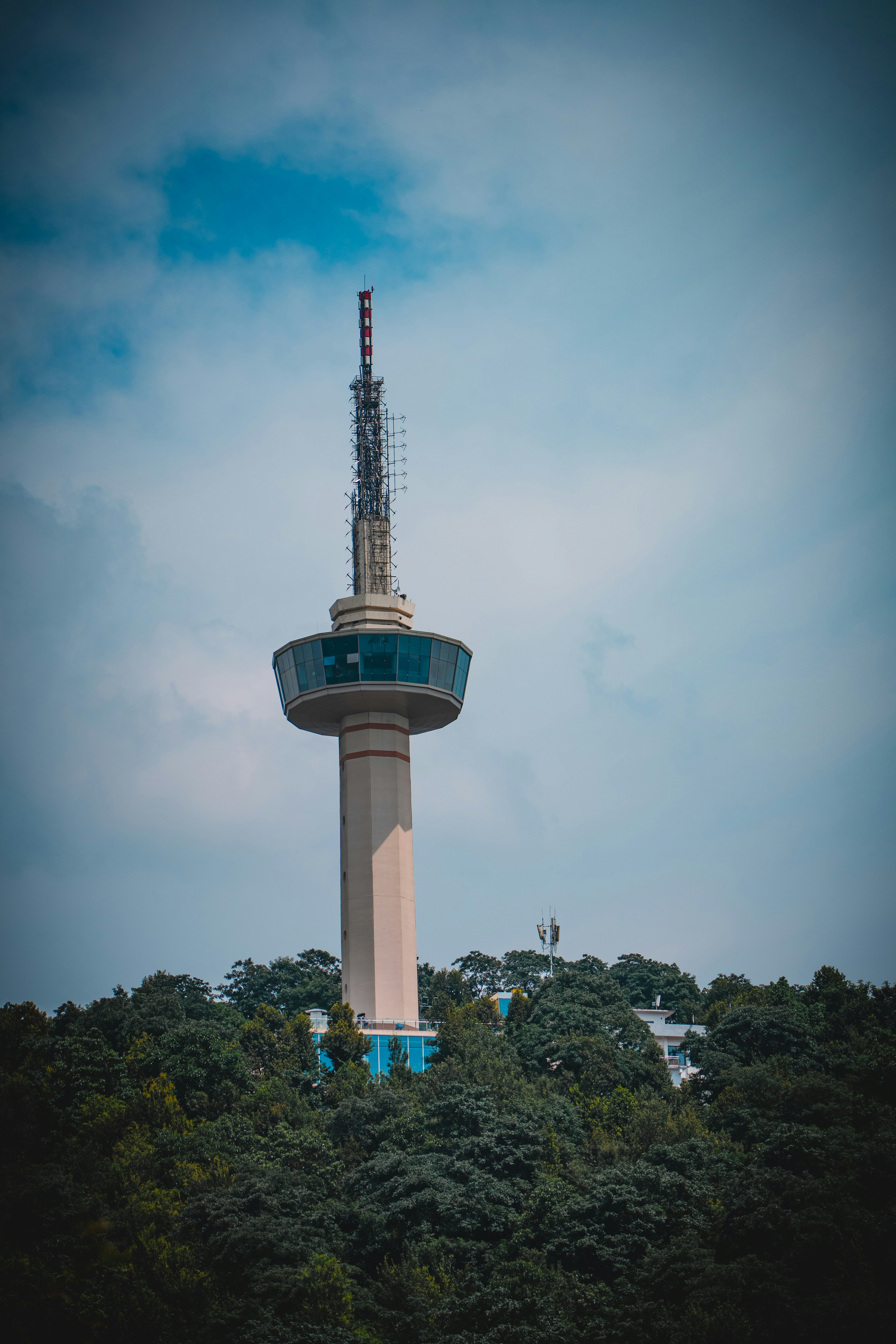 Tower Above the Trees: A City Lookout Pierces Sky