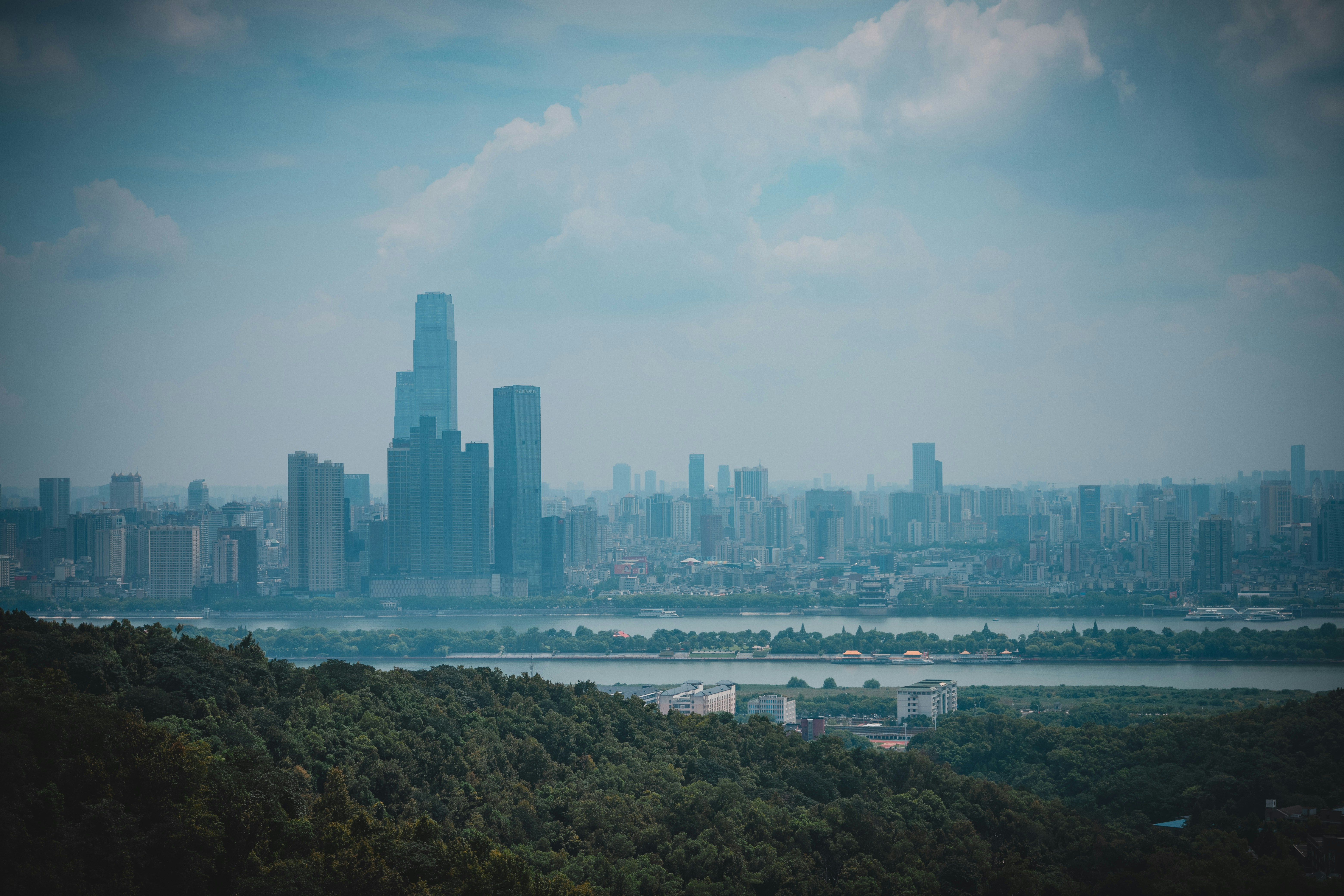 Rising Skyline Behind the Green Foreshore