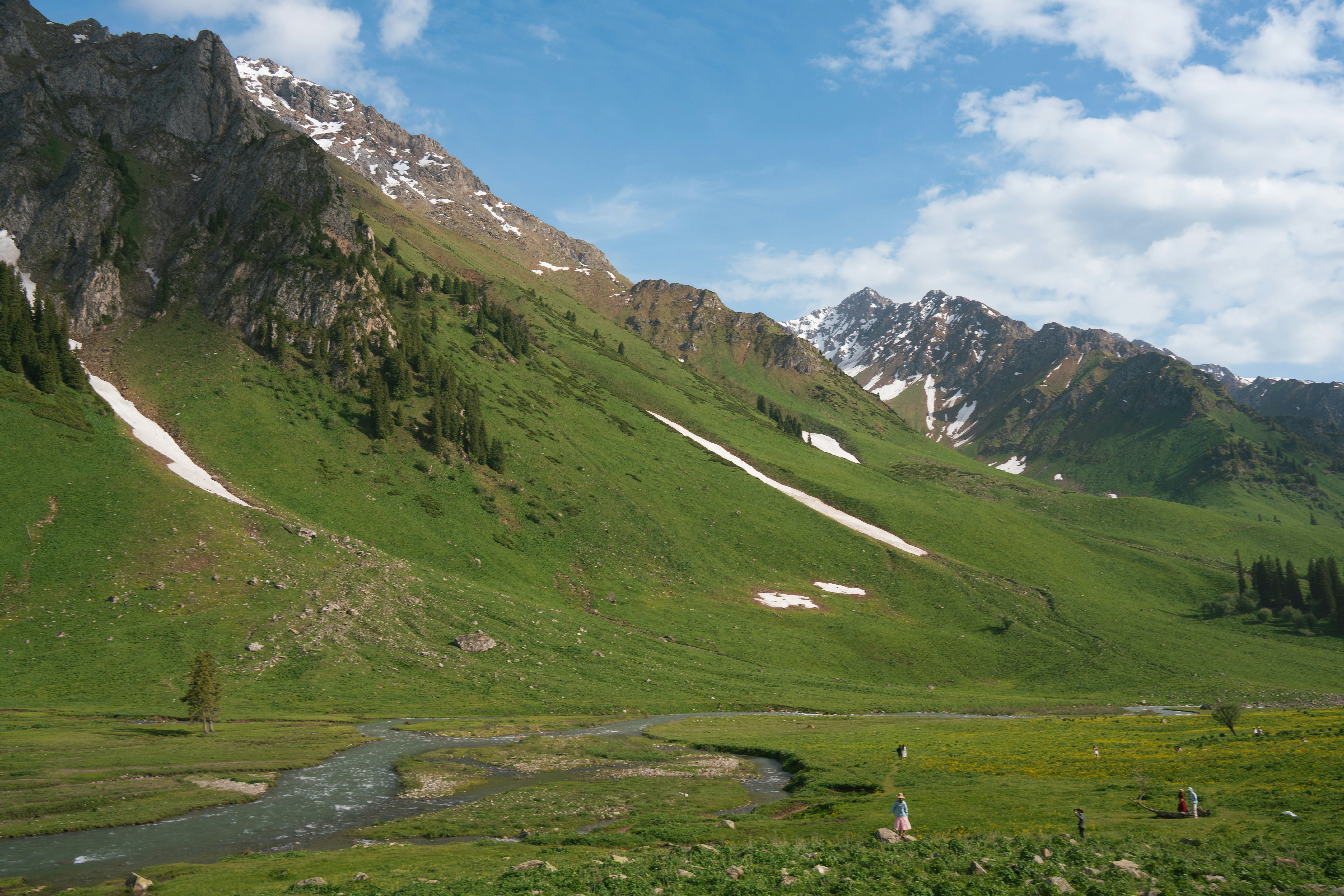 Green Valley Echoes Under Snow-dusted Peaks